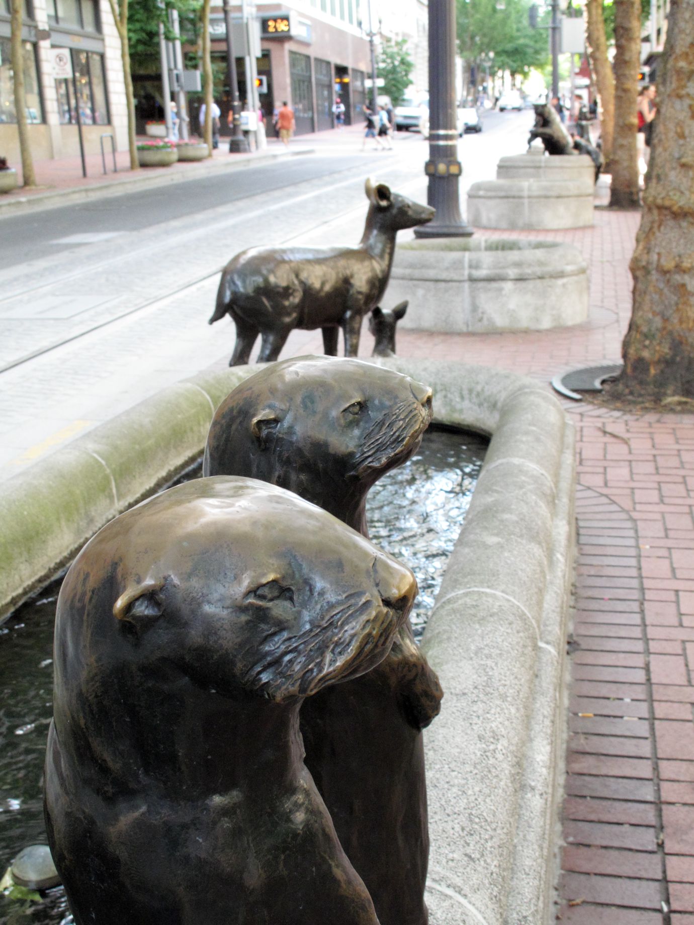 Animals From Portland Oregon
