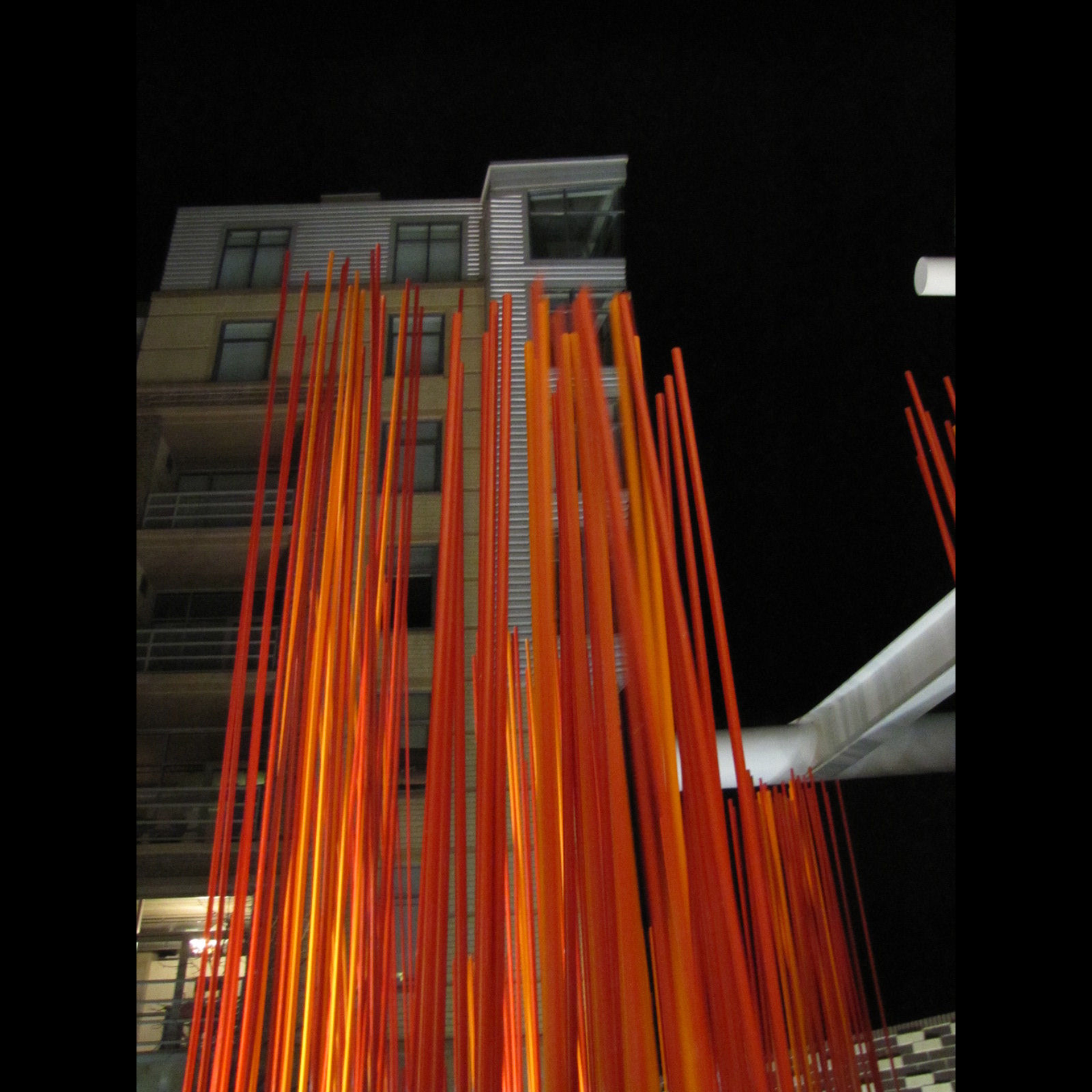 The Red Forest in Denver, CO