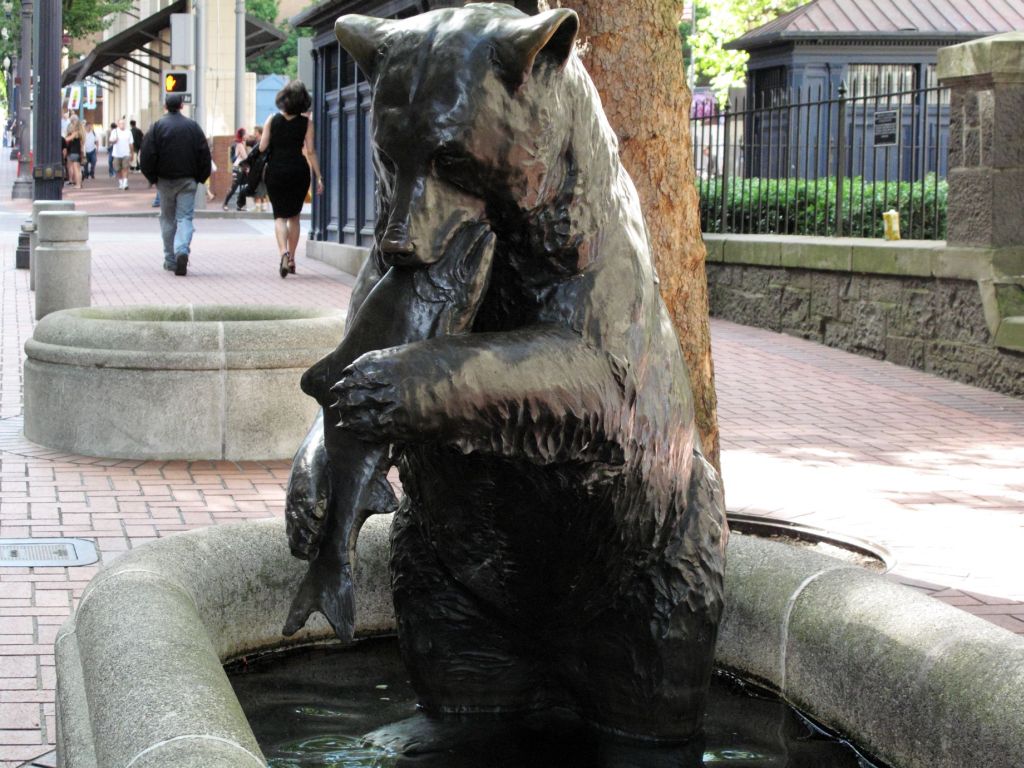 Animals in Pools in Portland, OR