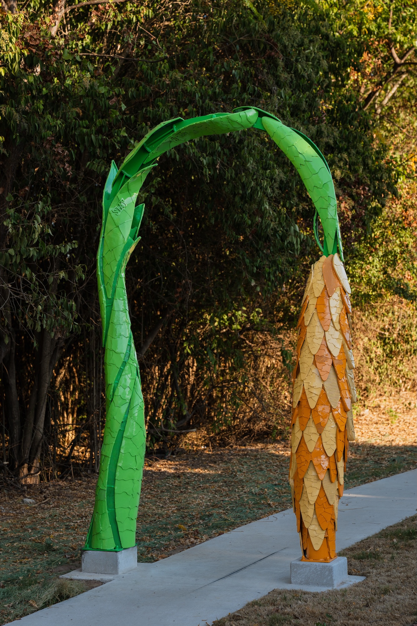 Prairie Grass Arch in Austin, TX