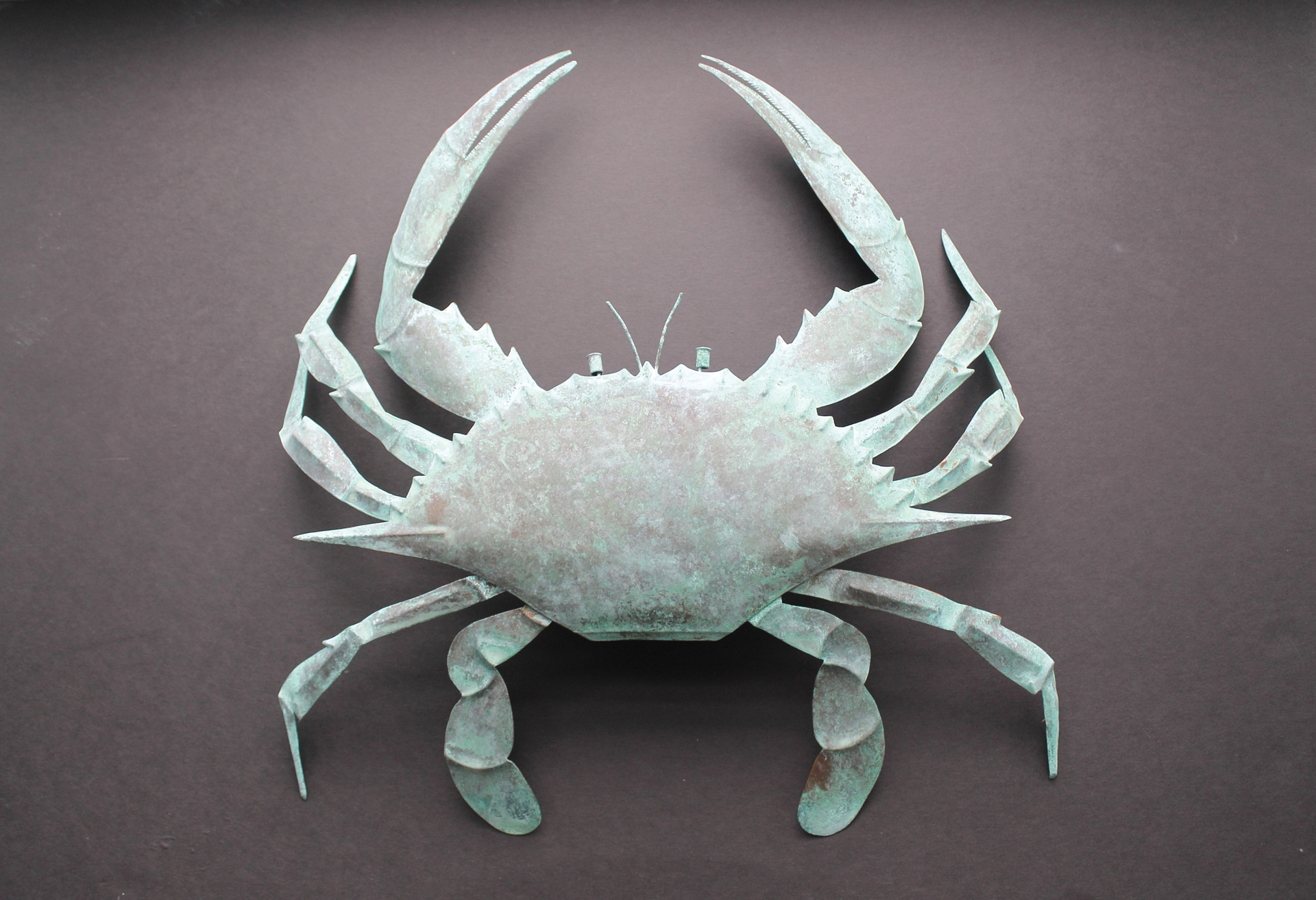 BLUE CRAB in New Shoreham, RI