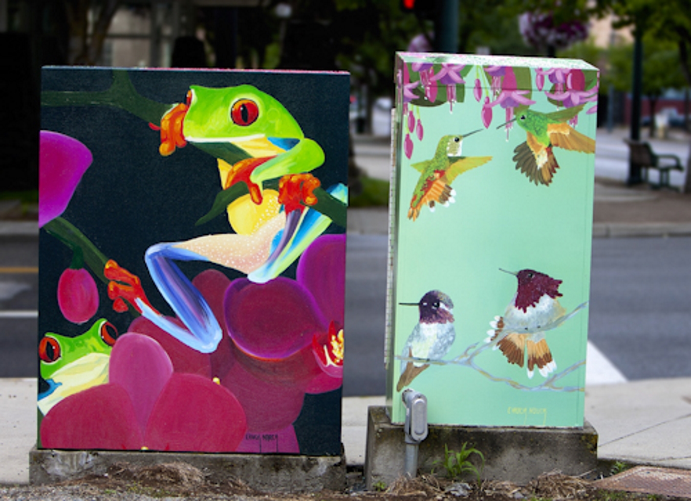 Frog & Hummingbirds in Coeur d'Alene, ID