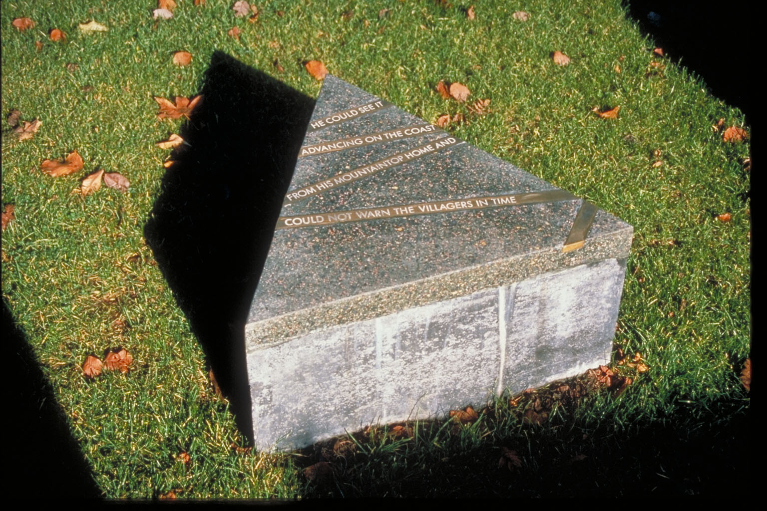 Tidal Wave Story in Seattle, WA