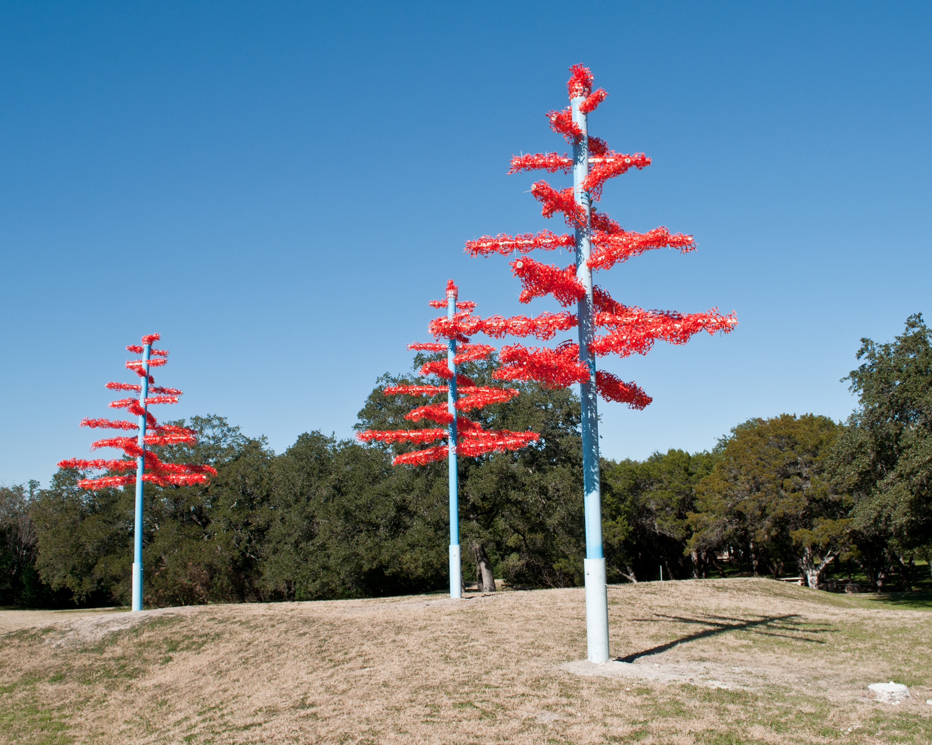 Treevolution in Austin, TX