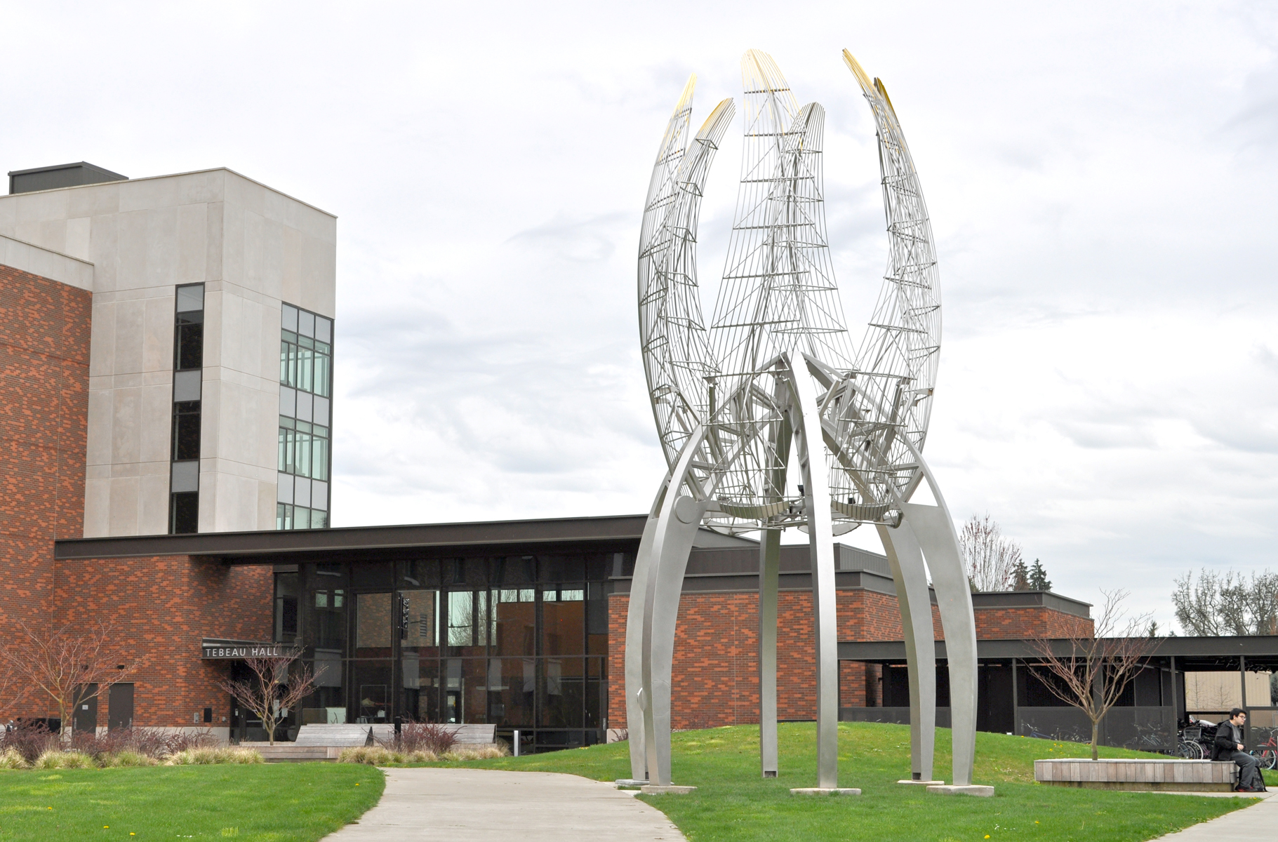 Tulip for Tebeau in Corvallis, OR