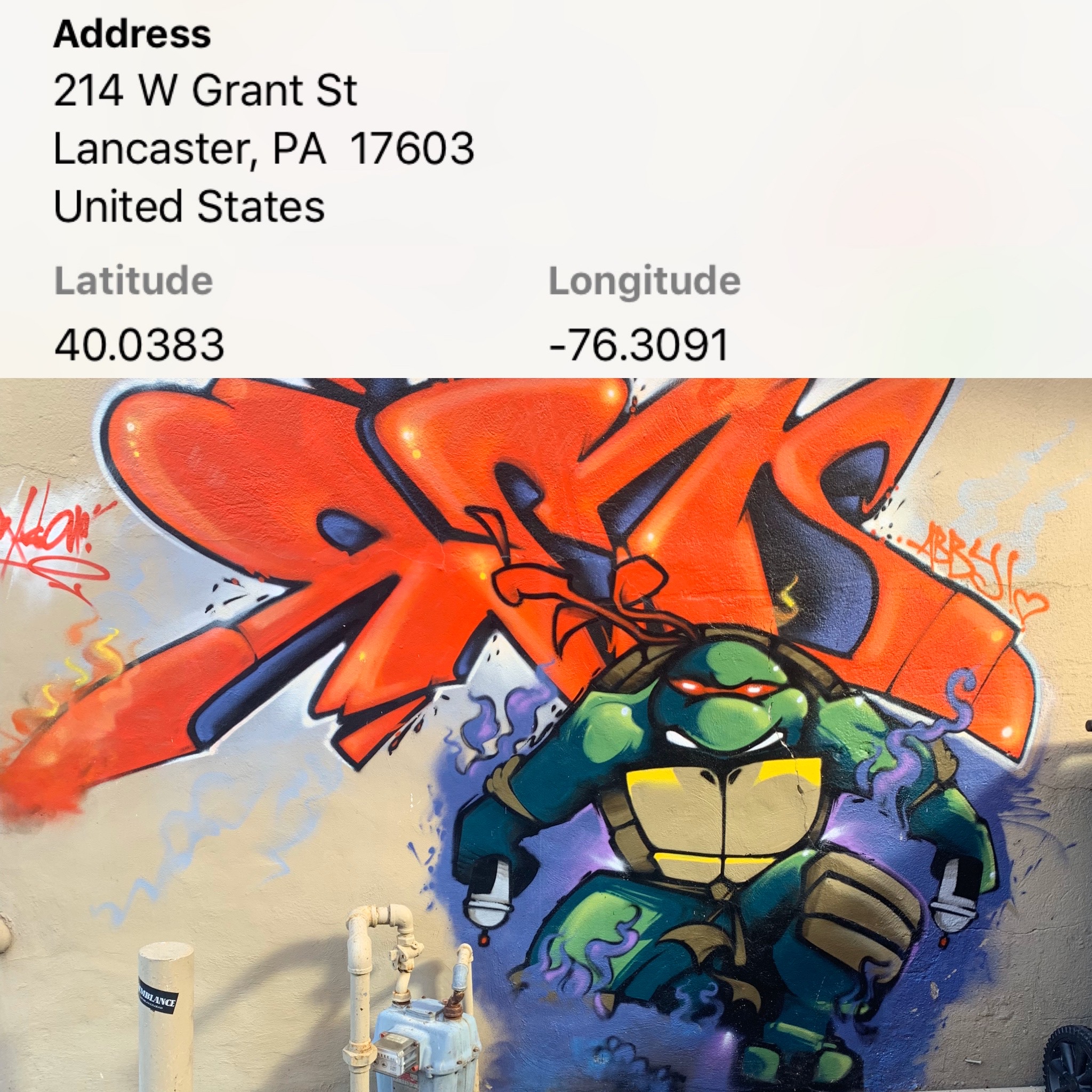 Ninja Turtle Mural in Lancaster, PA