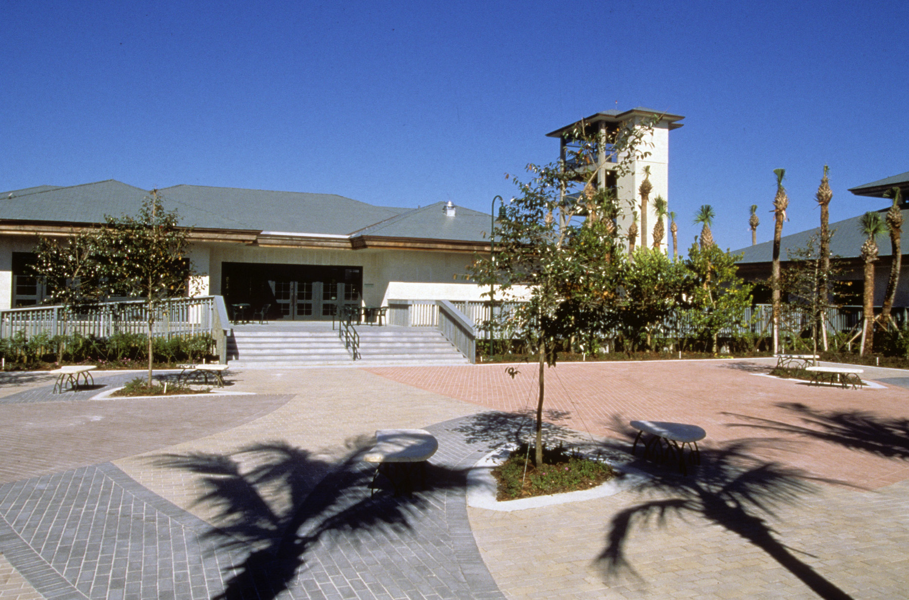 Mangrove Root Benches & Plaza in Hollywood, FL