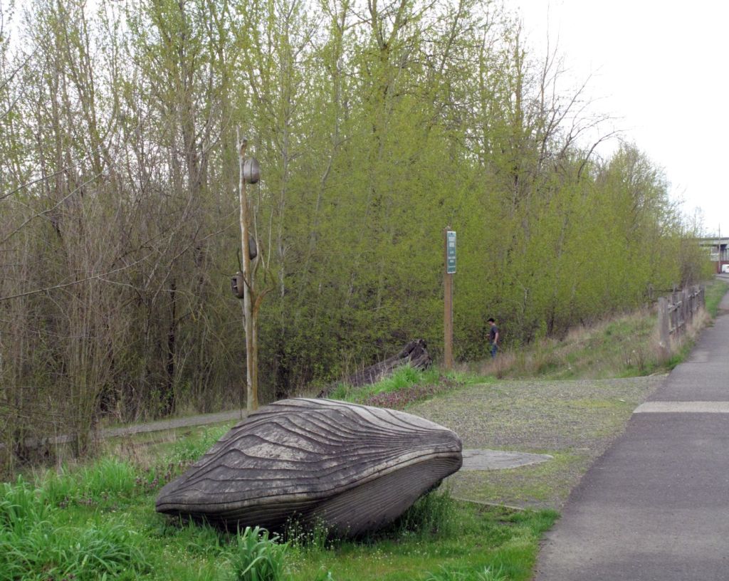 Mussel Shell and Mussel Shell Timeline from in Portland, OR