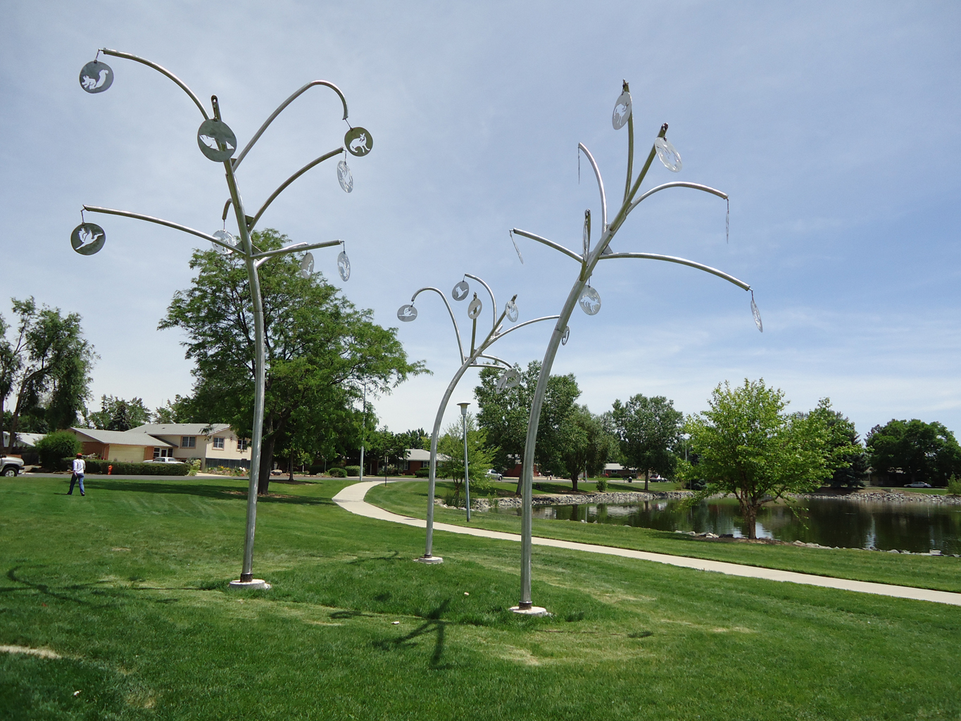 Flying Trees in Longmont, CO