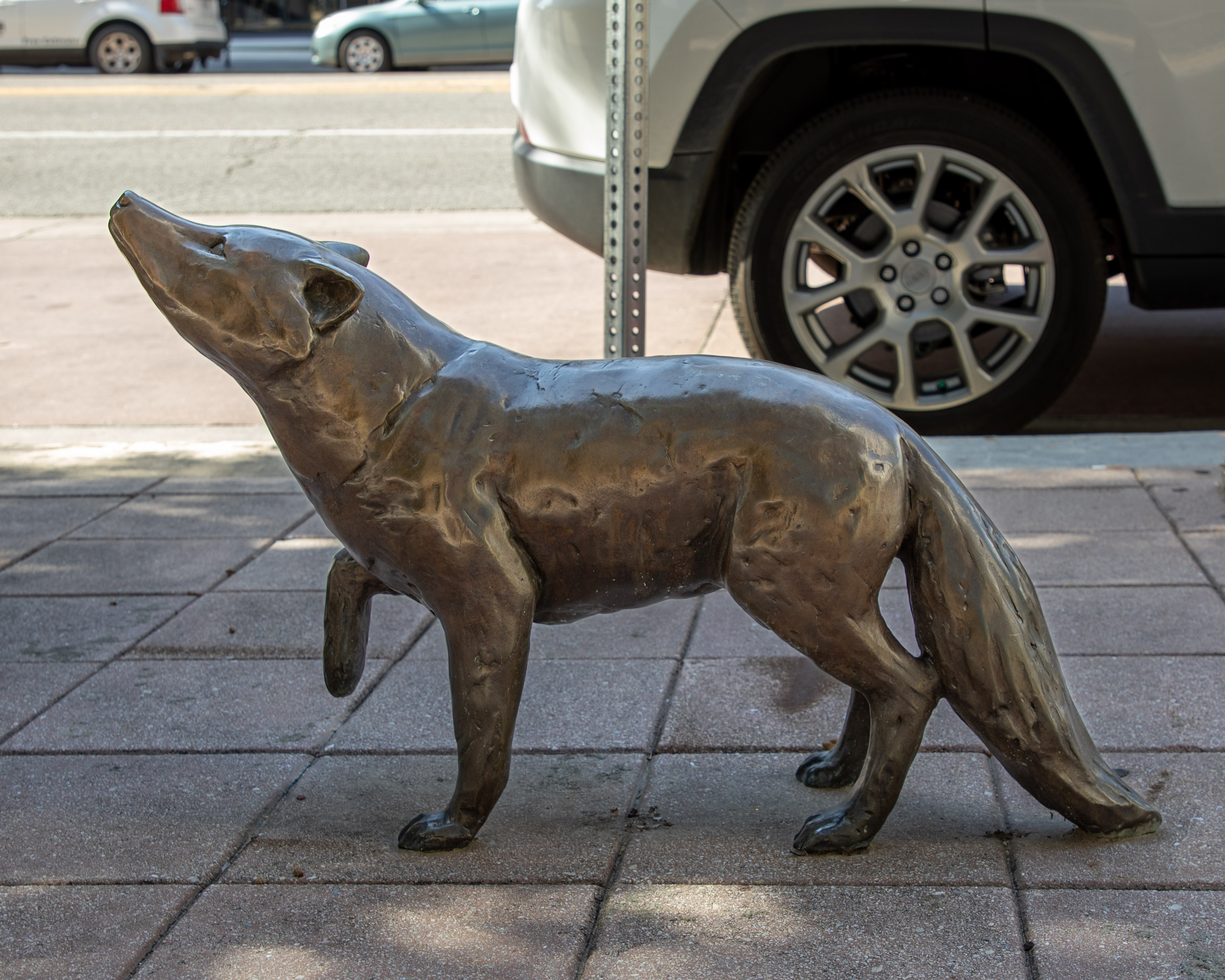 Lone Fox in Wichita, KS