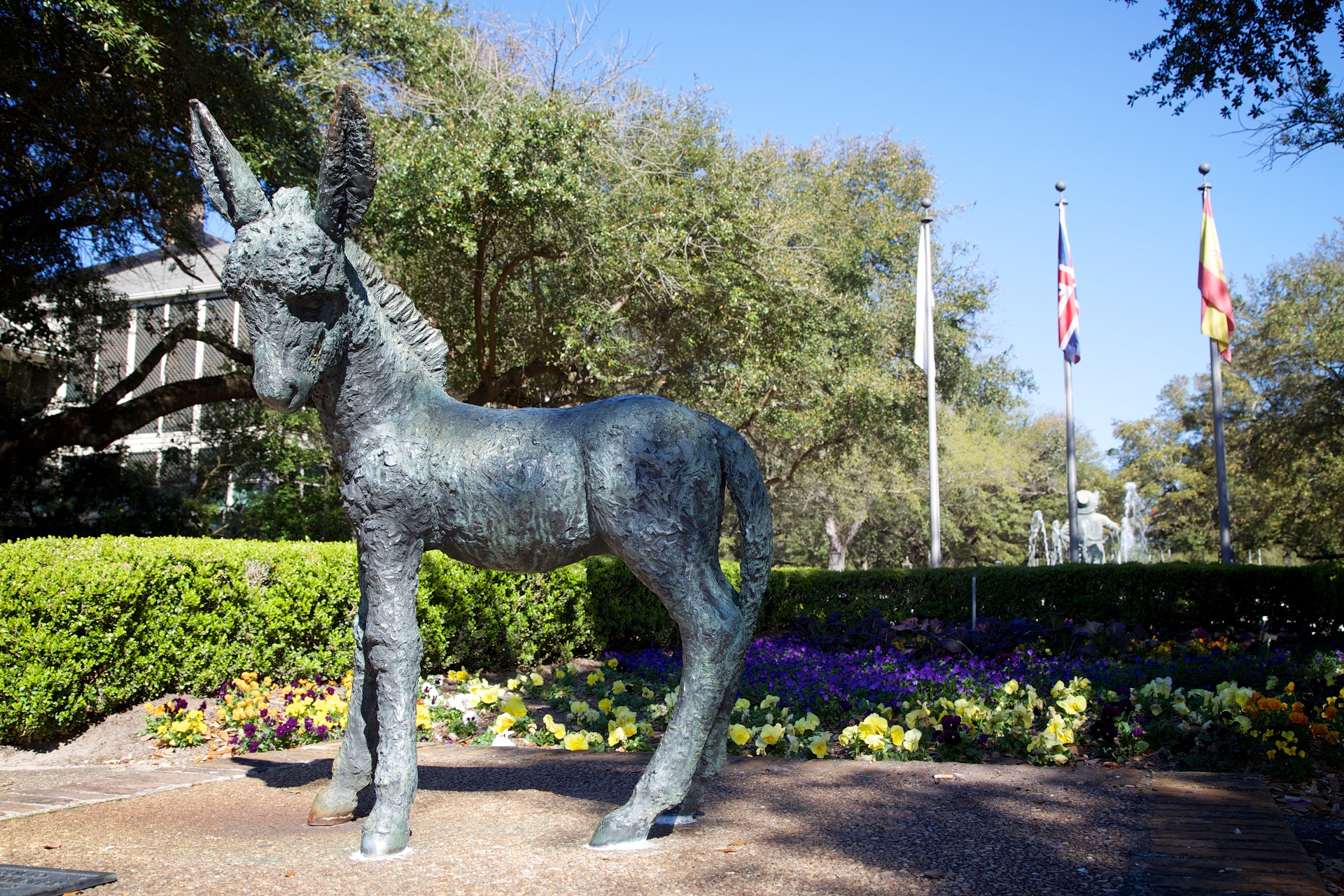 The Donkey in Mobile, AL