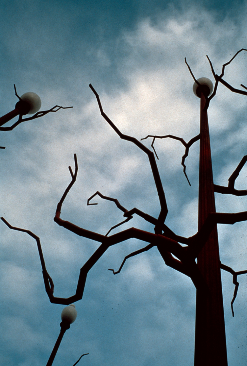 Photogenesis in SeaTac, WA