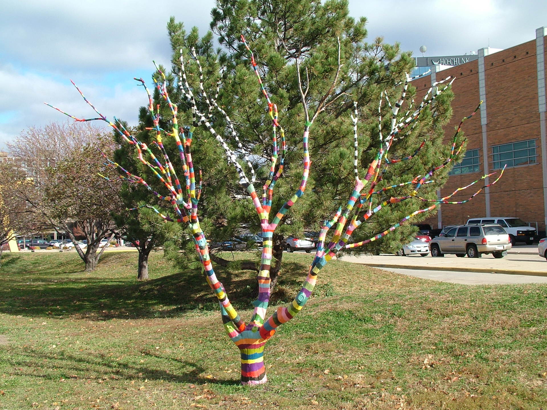 No Tree Was Harmed During The Making Of in Sioux City, IA
