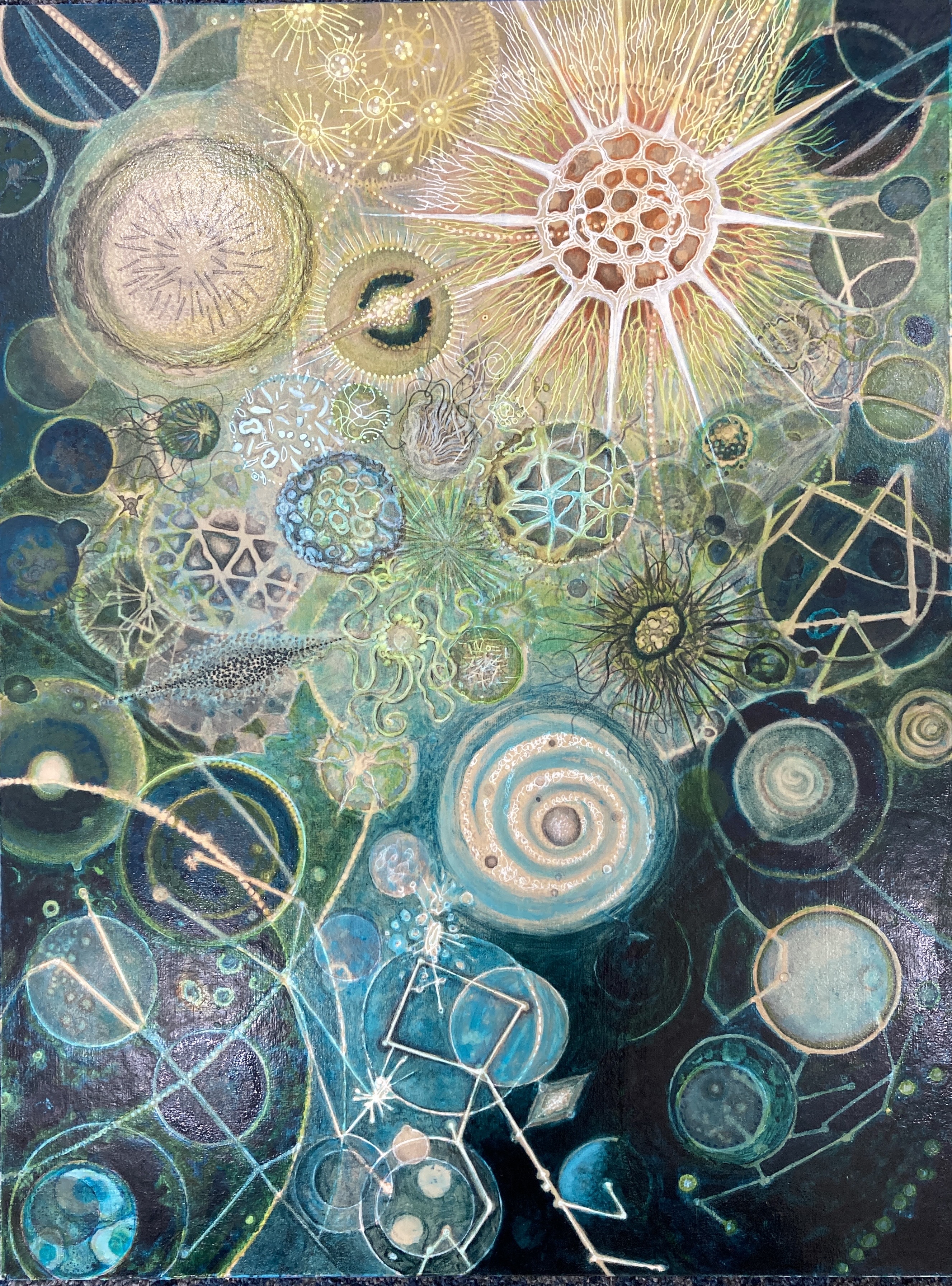 Ocean Universe in Eugene, OR