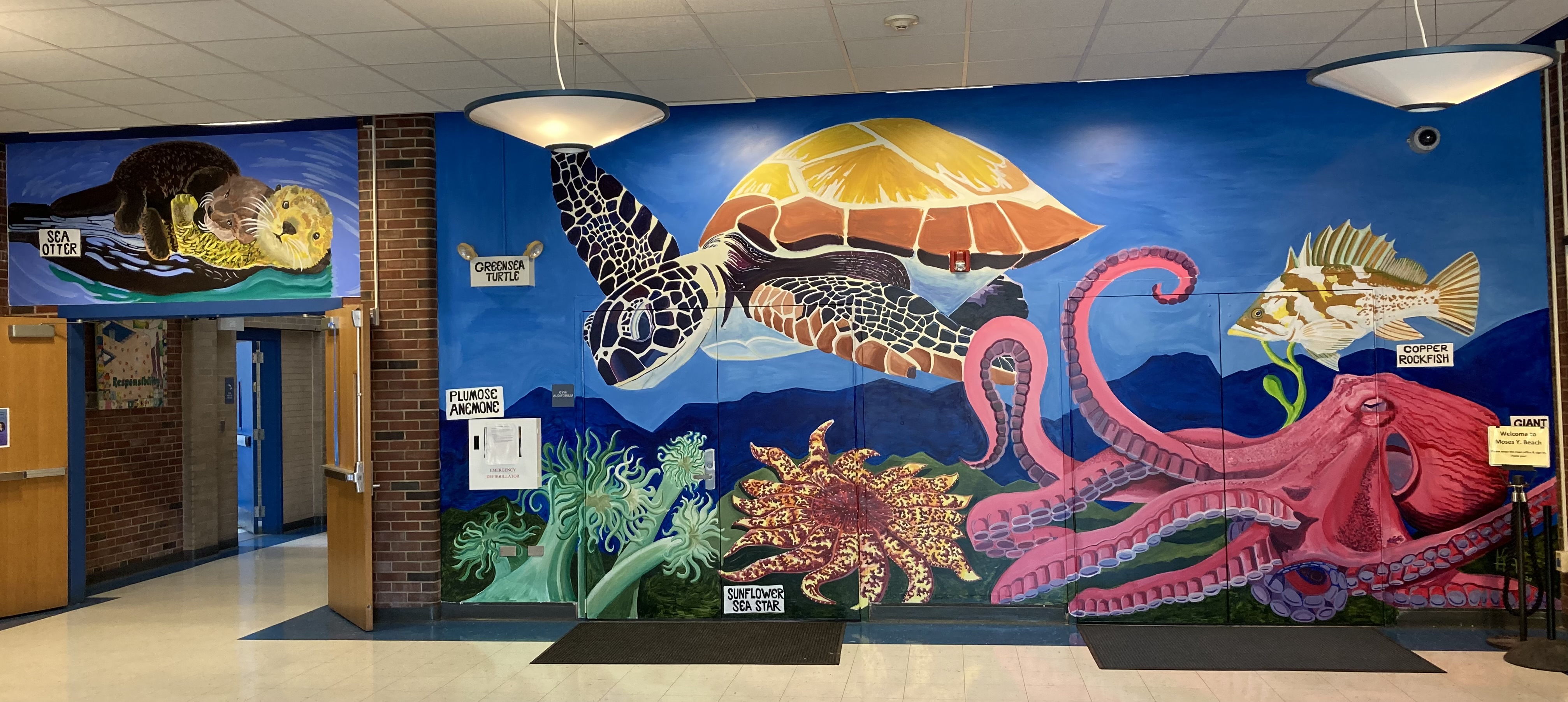 Sea Creatures of Puget Sound in Wallingford, CT