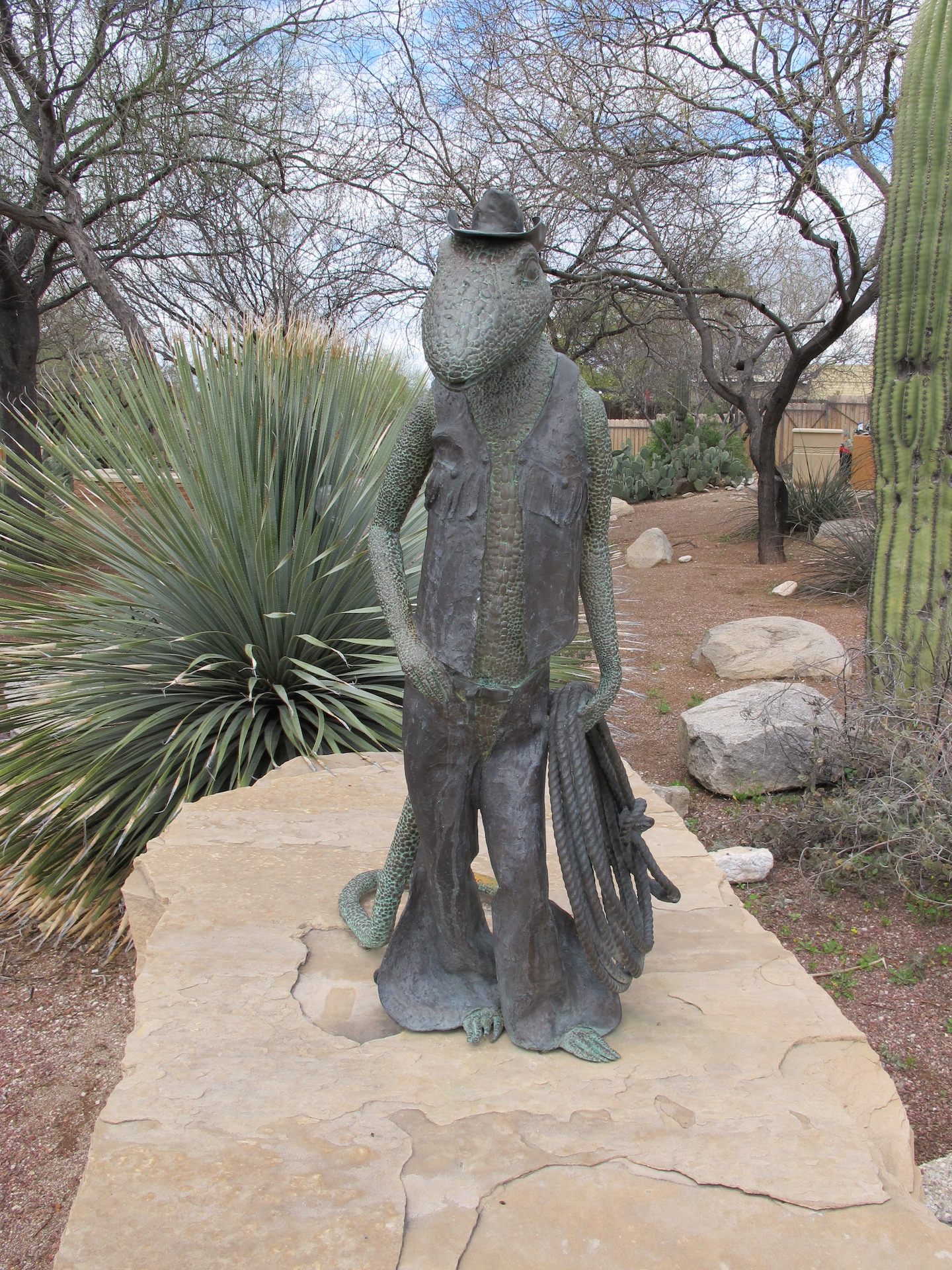 Lizard Boy in Tucson, AZ