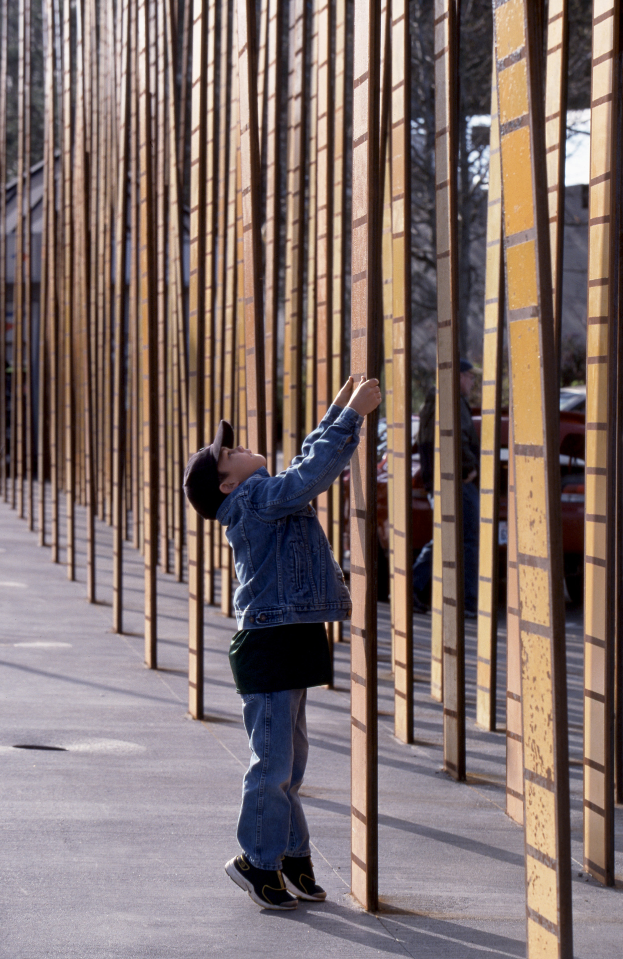 Grassblades in Seattle, WA