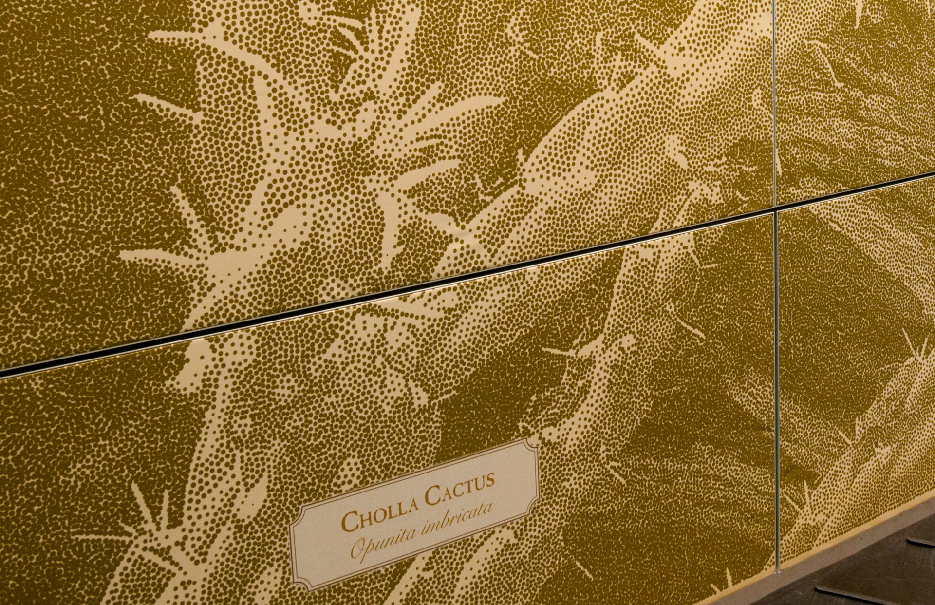 Native Plants of San Antonio in San Antonio, TX