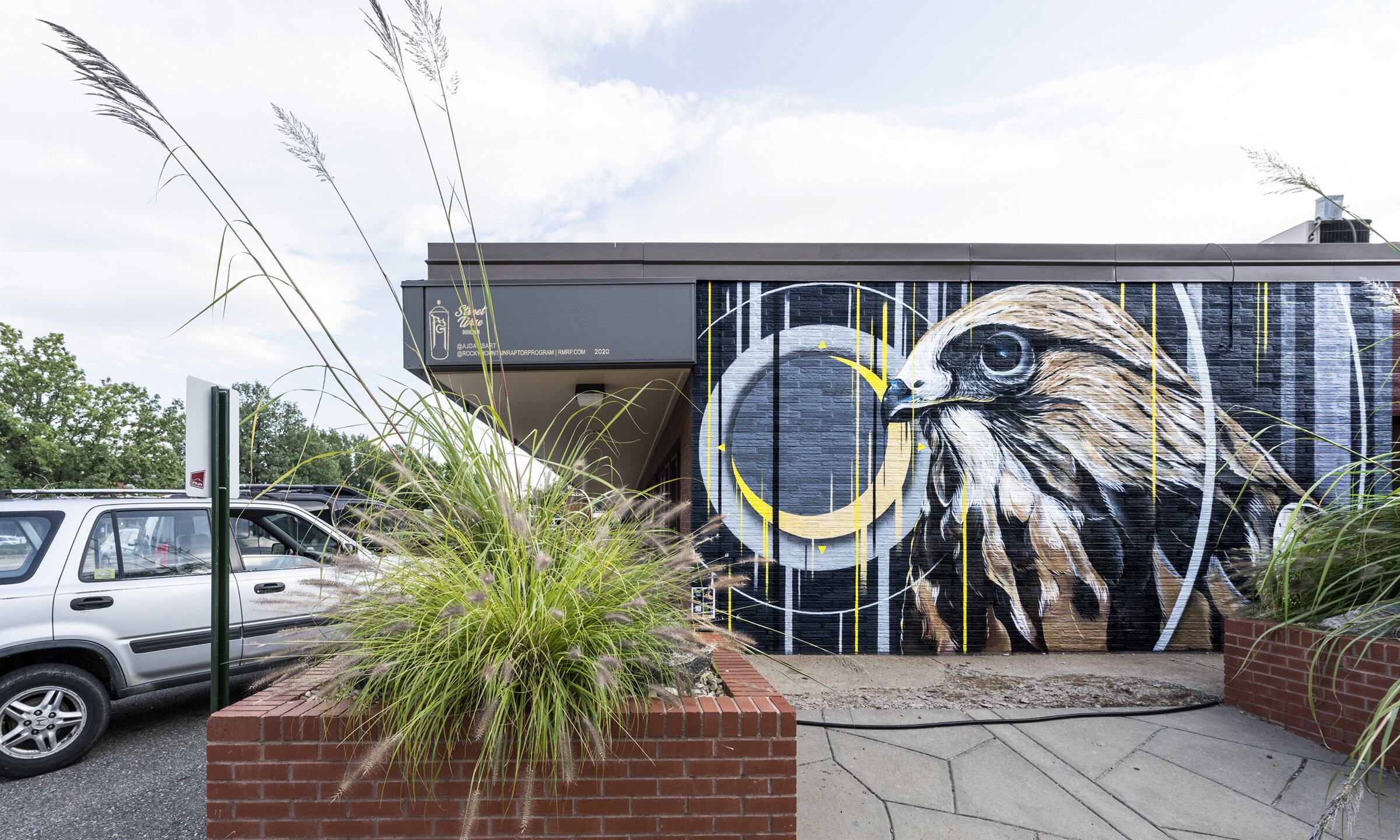 Portrait of Rough Legged Hawk in Boulder, CO