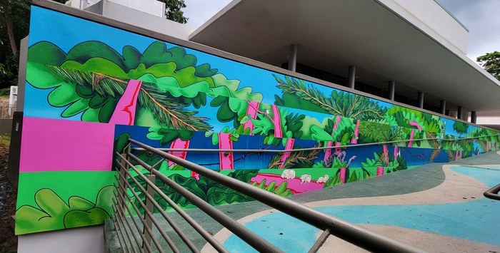 Levels of the Forest in Rio Grande, PR