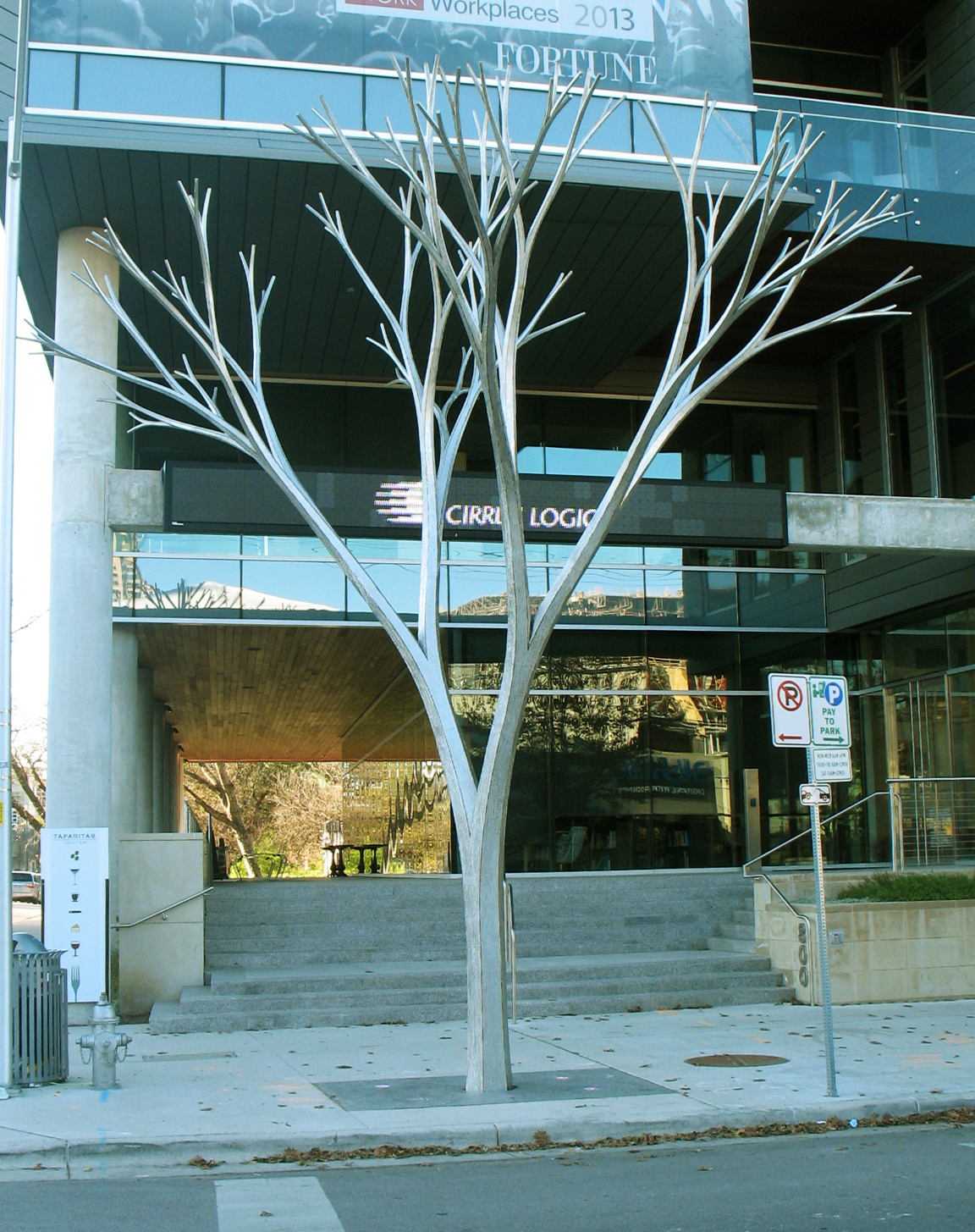 Fractal Tree in Austin, TX