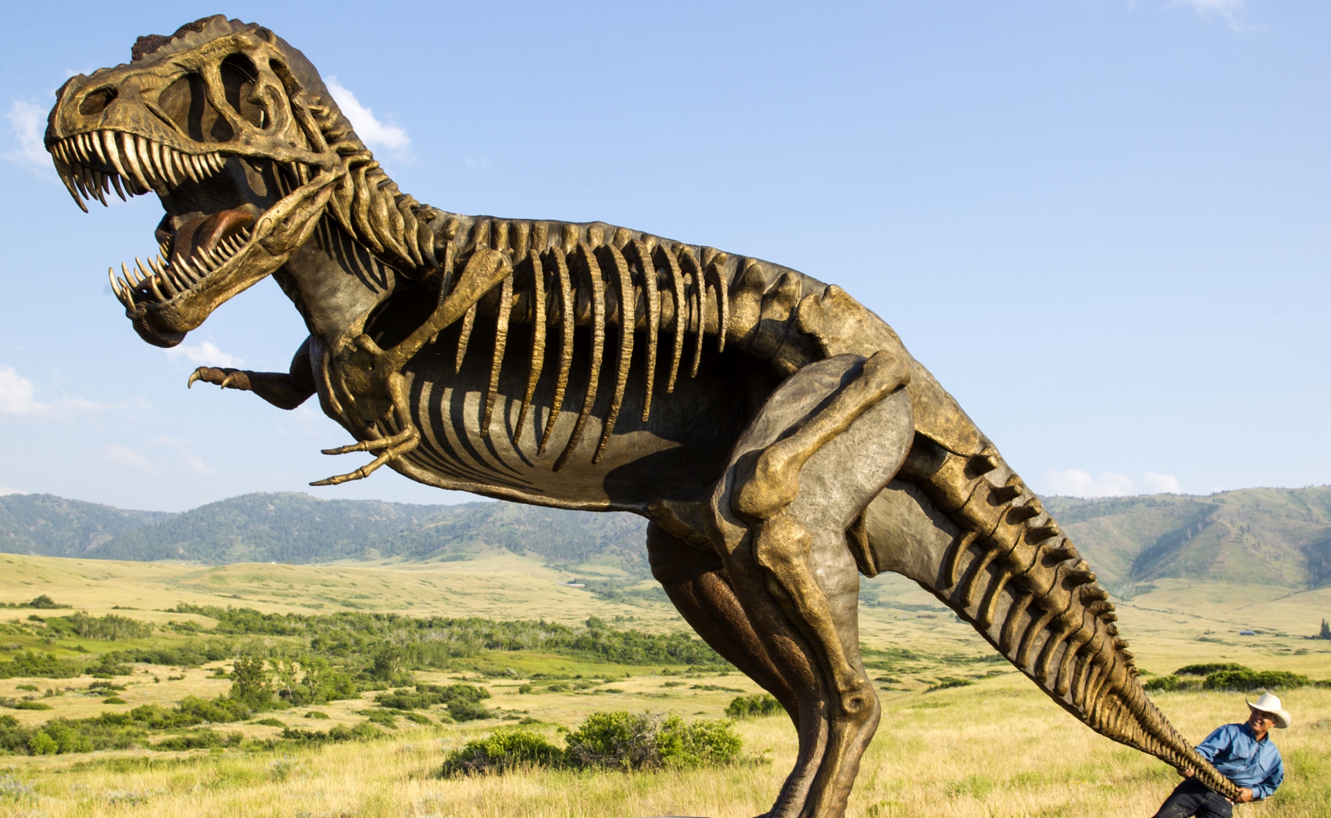 ESSENCE OF REX in Casper, WY