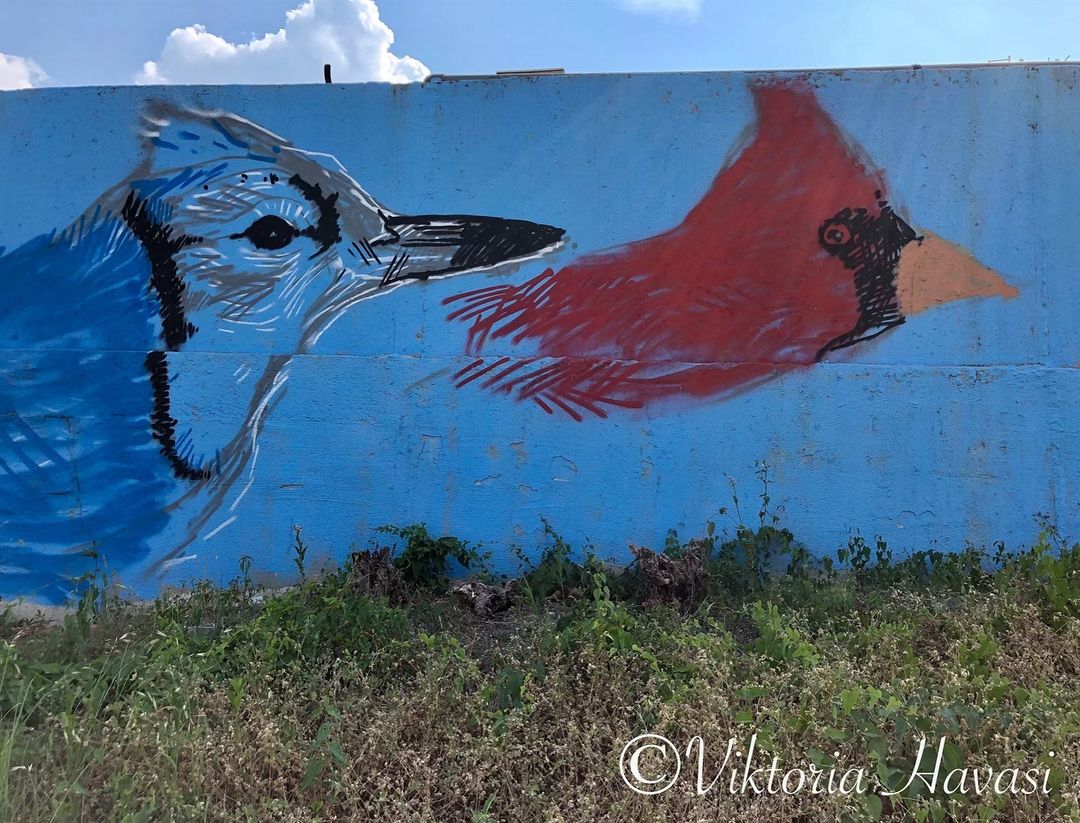 Bird themed mural for Bham Audubon in Birmingham, AL