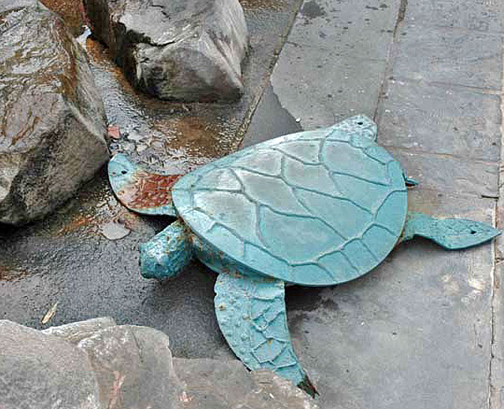 The Rio Wildlife (Turtle) in Albuquerque, NM