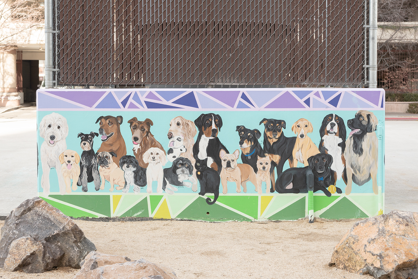 Biggest Little Dog Park Pet Mural in Reno, NV