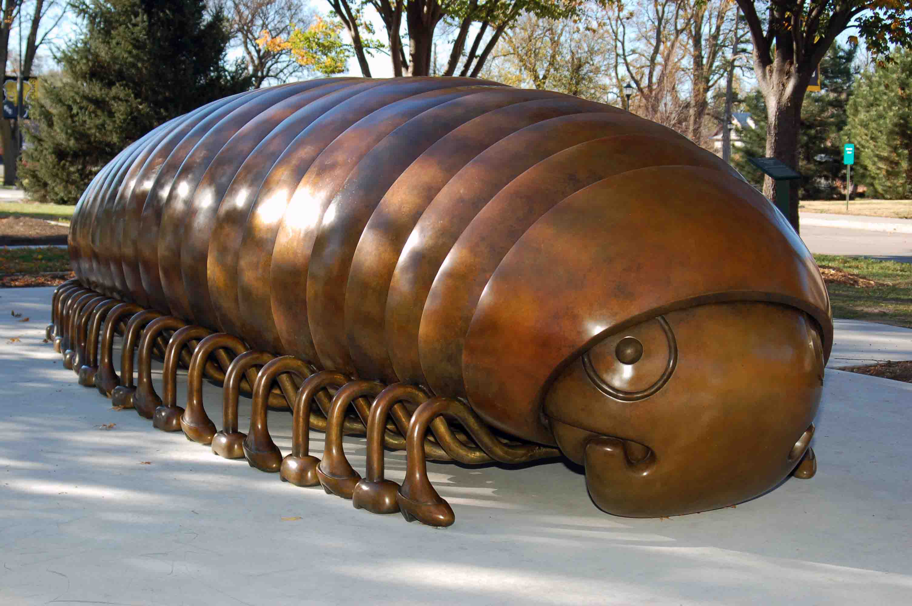 Millipede in Wichita, KS