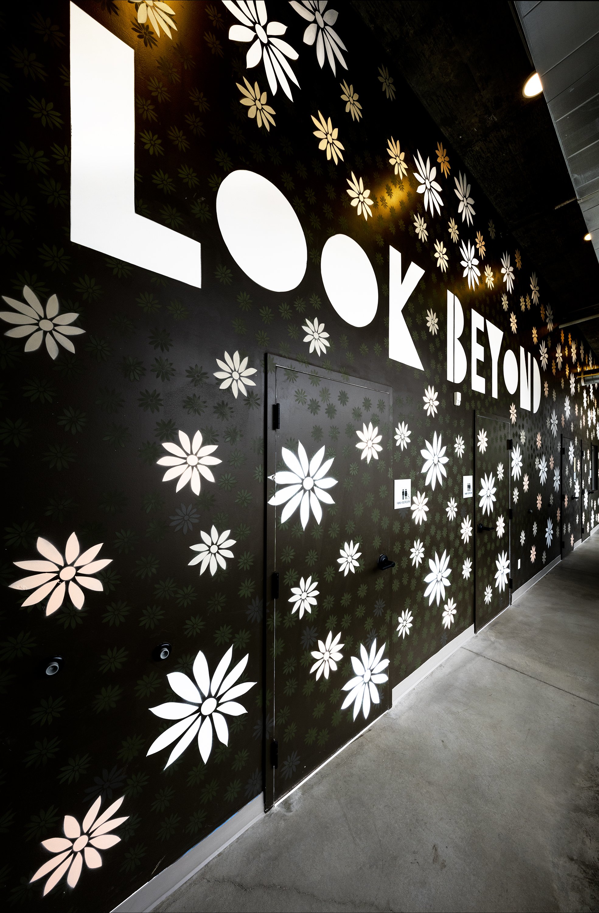 Look Beyond in Boulder, CO