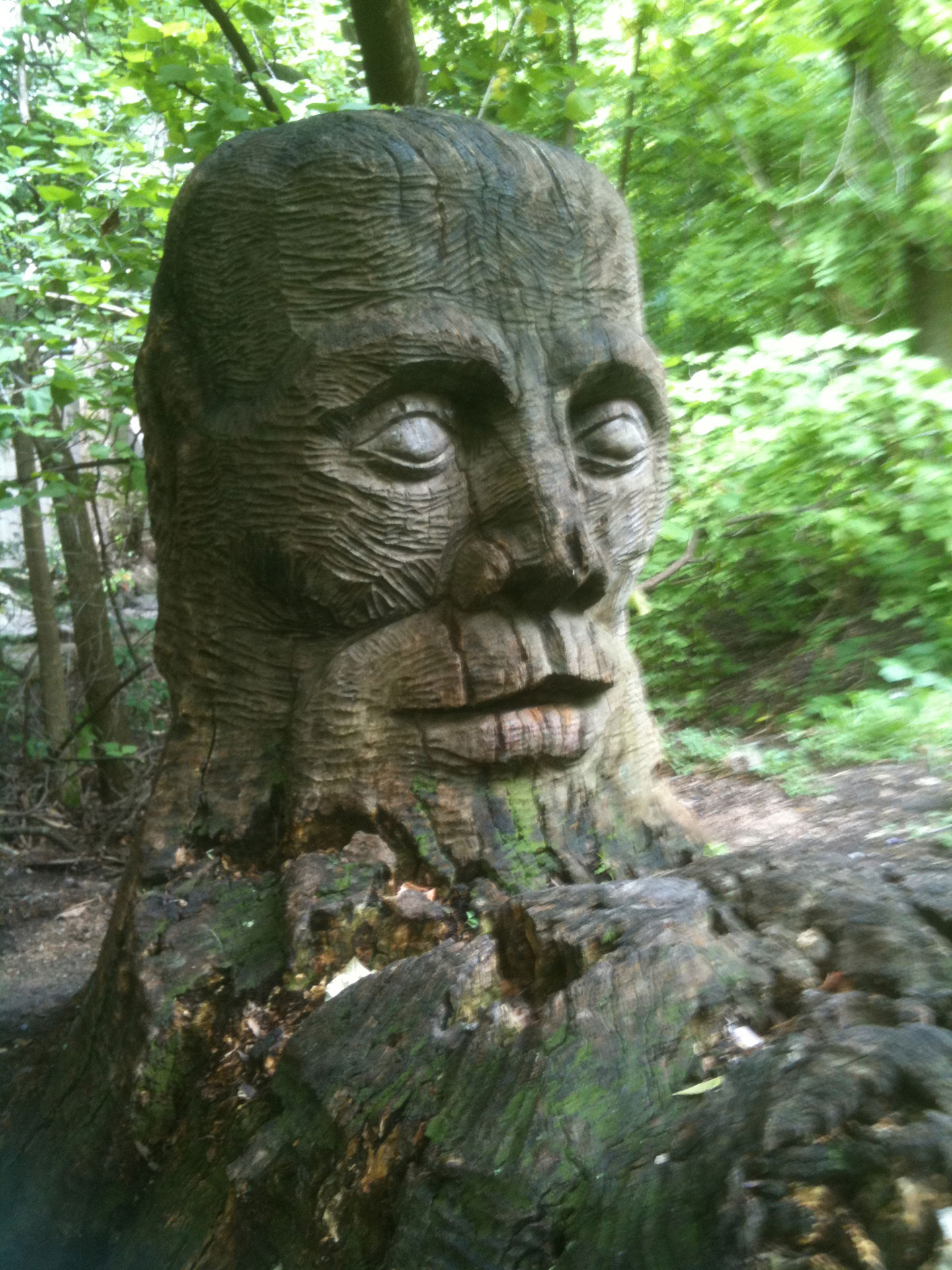 Merlin the Magical Sage in Austin, TX