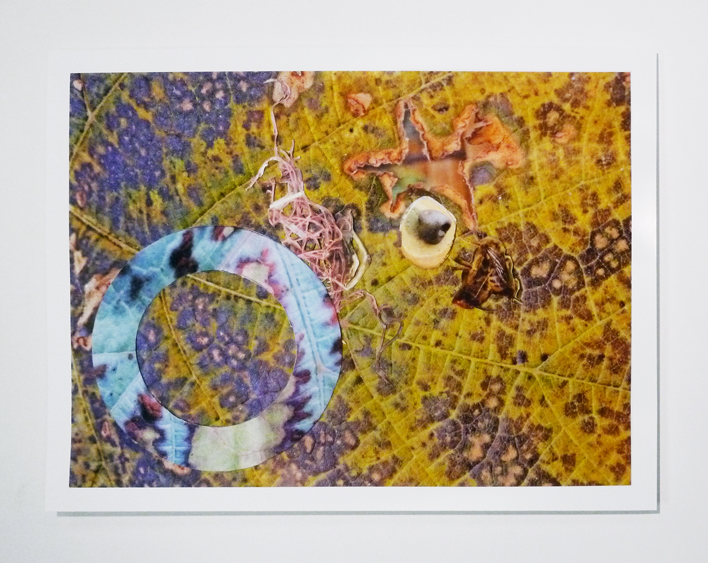 Obstacle Course in Portland, OR