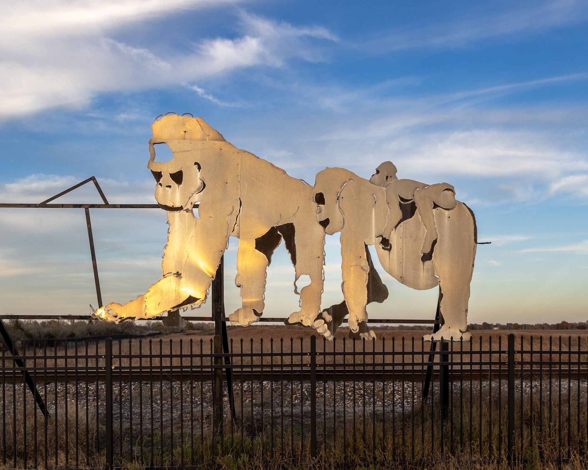 Animals in Wichita, KS