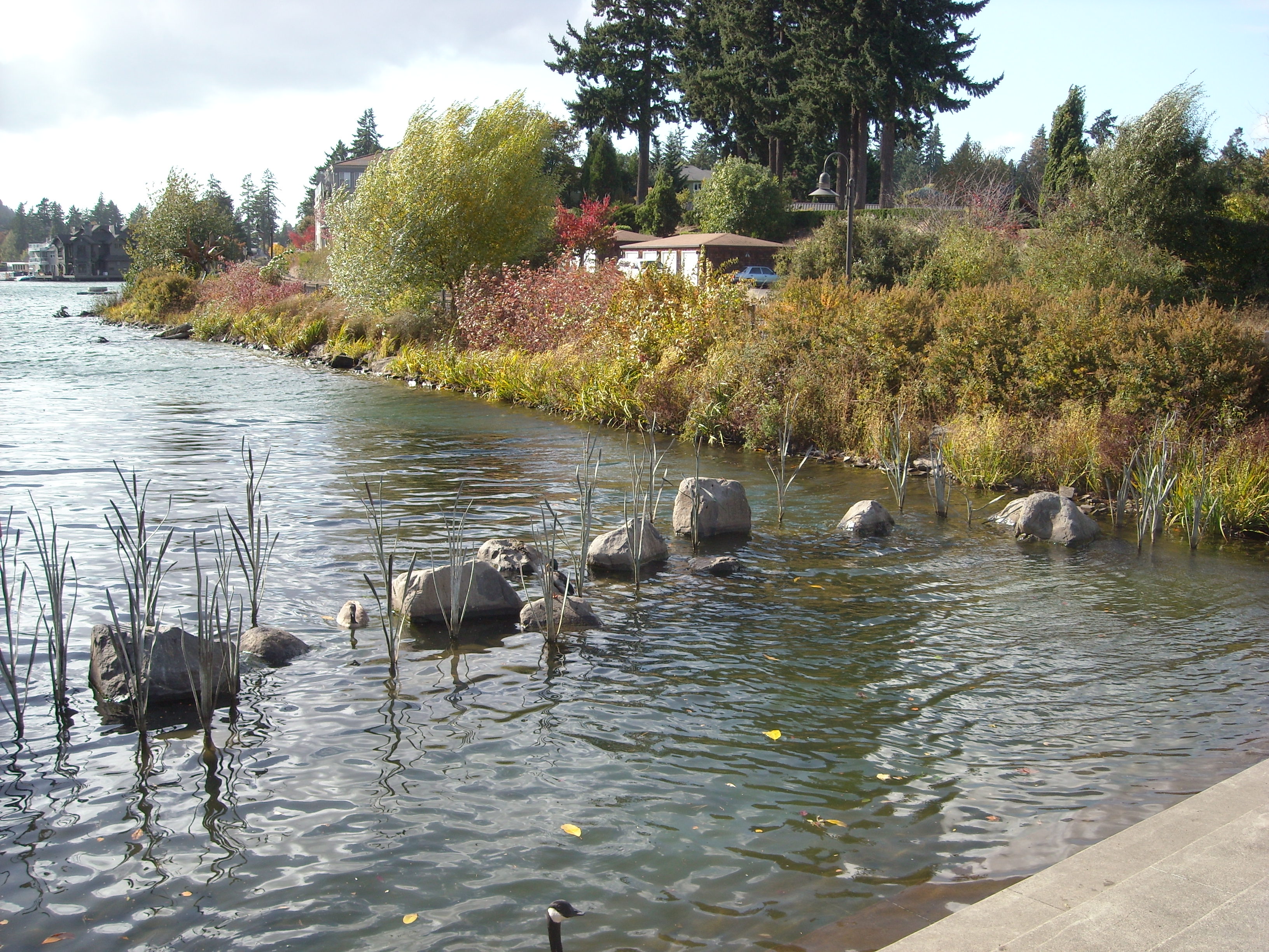 Spirit of the Marsh in Lake Oswego, OR