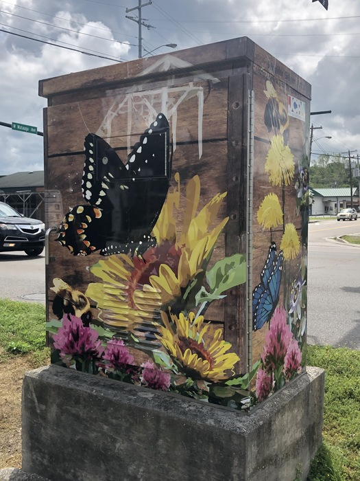 Pollinator Alley in Johnson City, TN