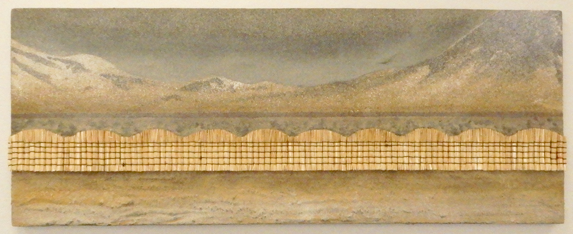 Straw Fence in Reno, NV