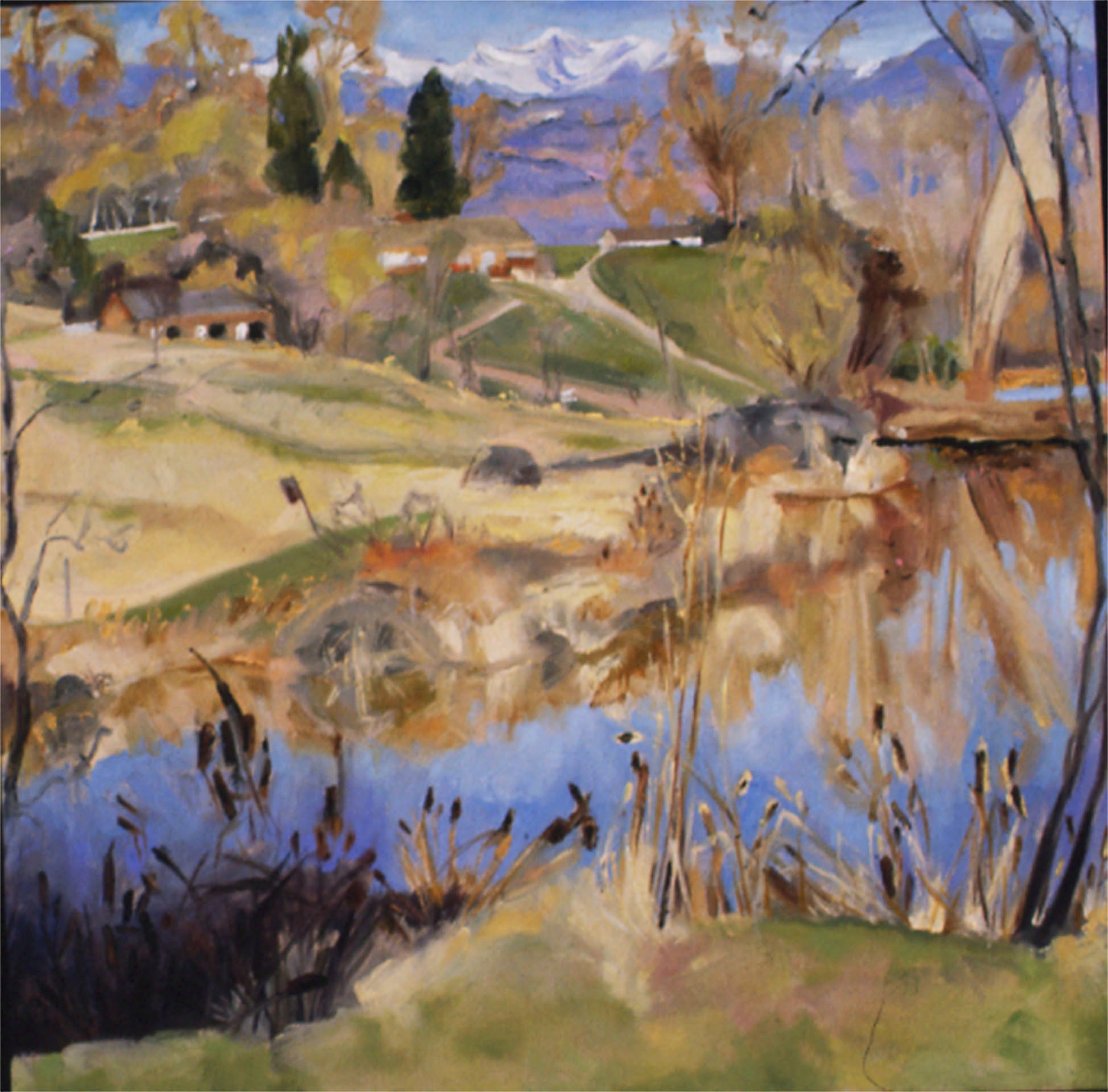 The Perry Ponds Near the Highline in Greenwood Village, CO