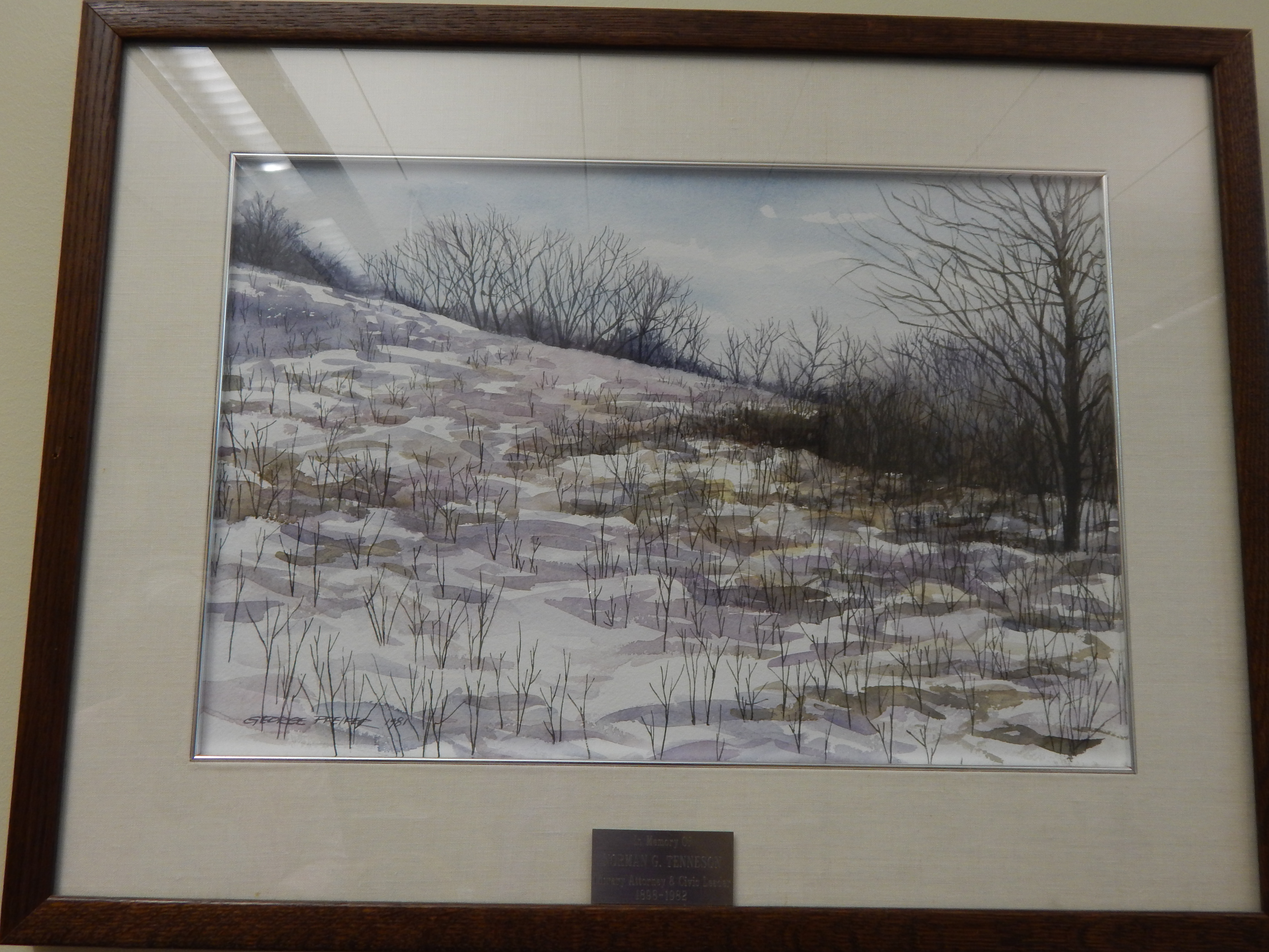 Winter Landscape in Fargo, ND