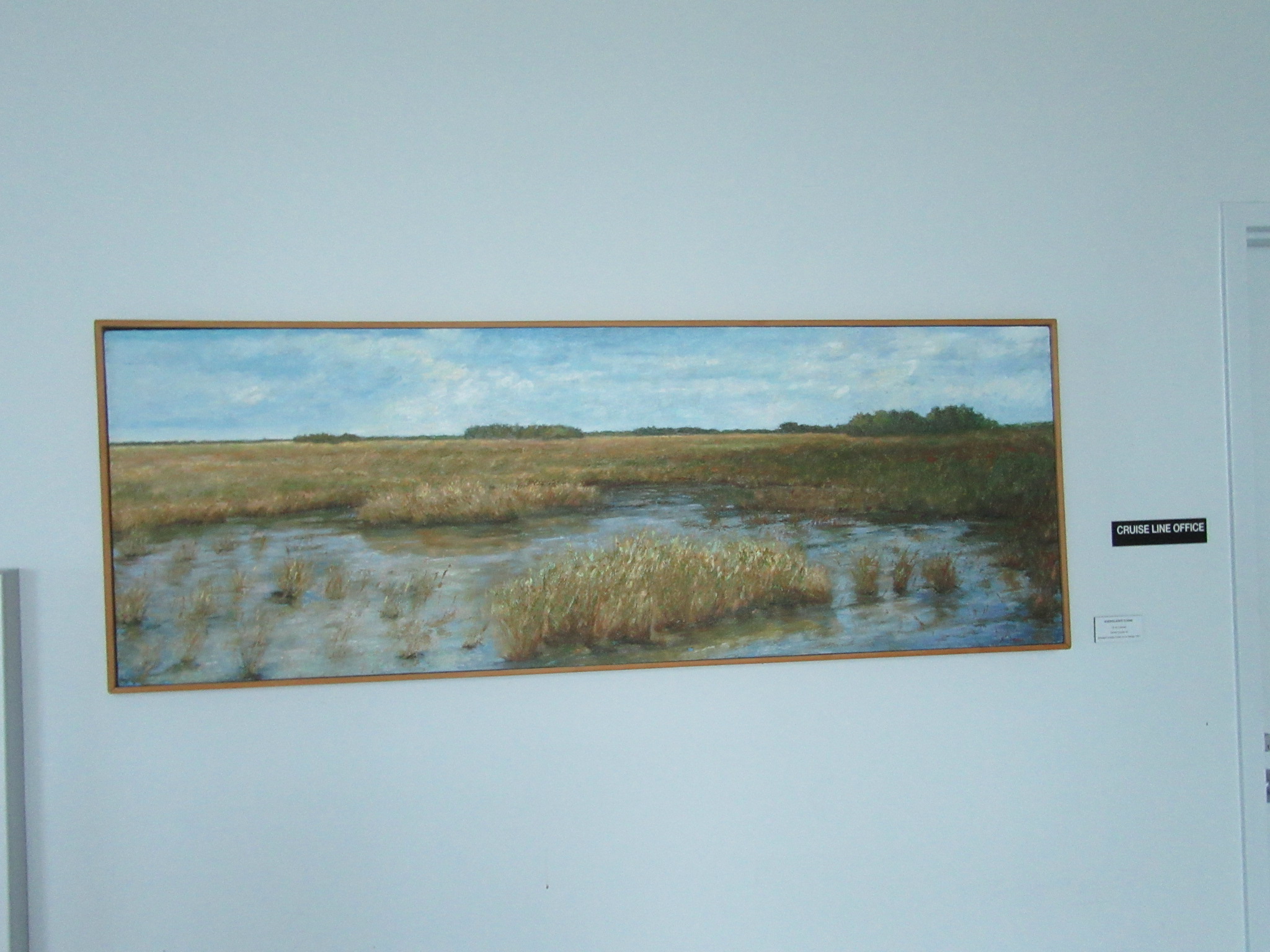Everglades Scene in Hollywood, FL