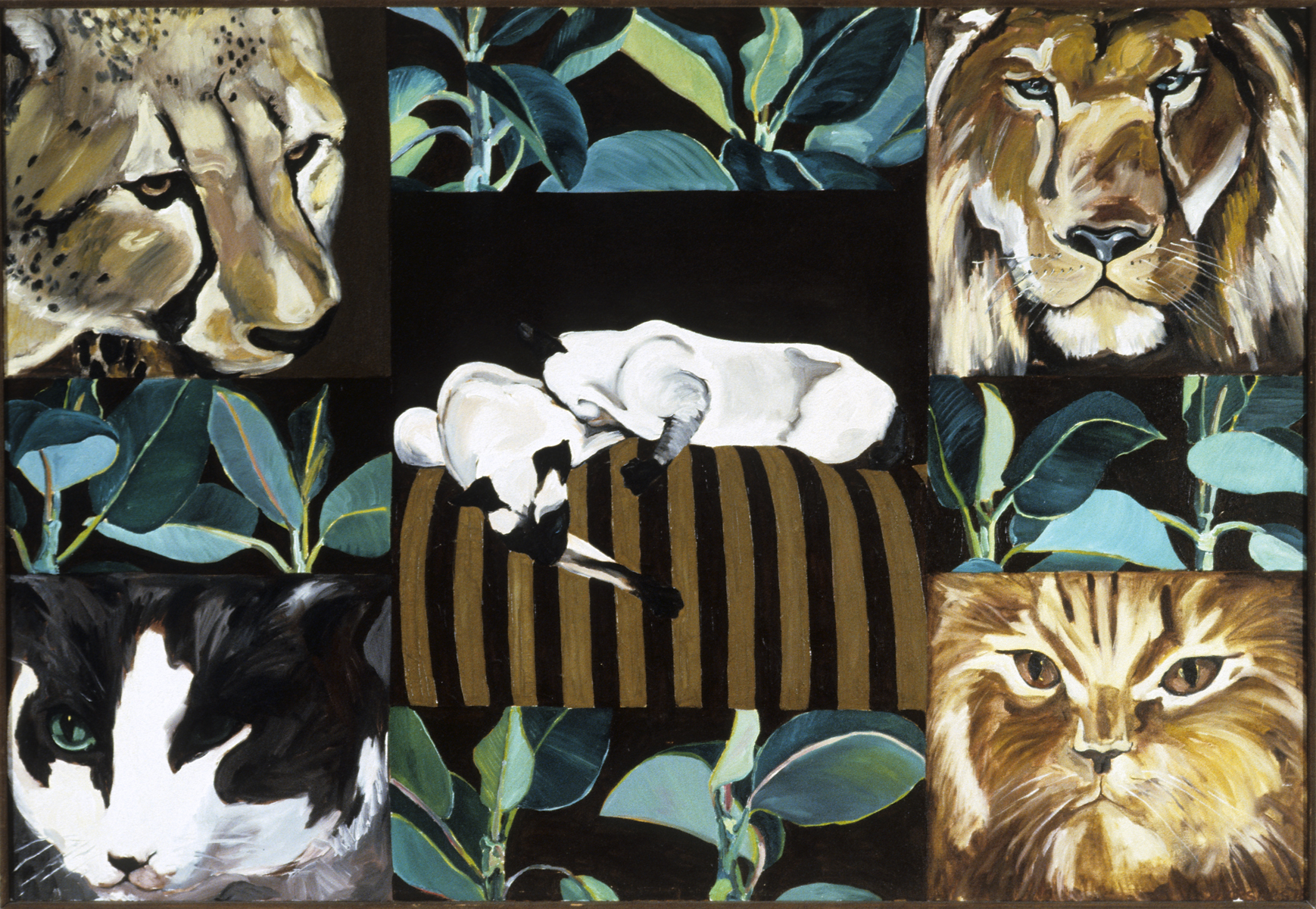 Cats in Portland, OR