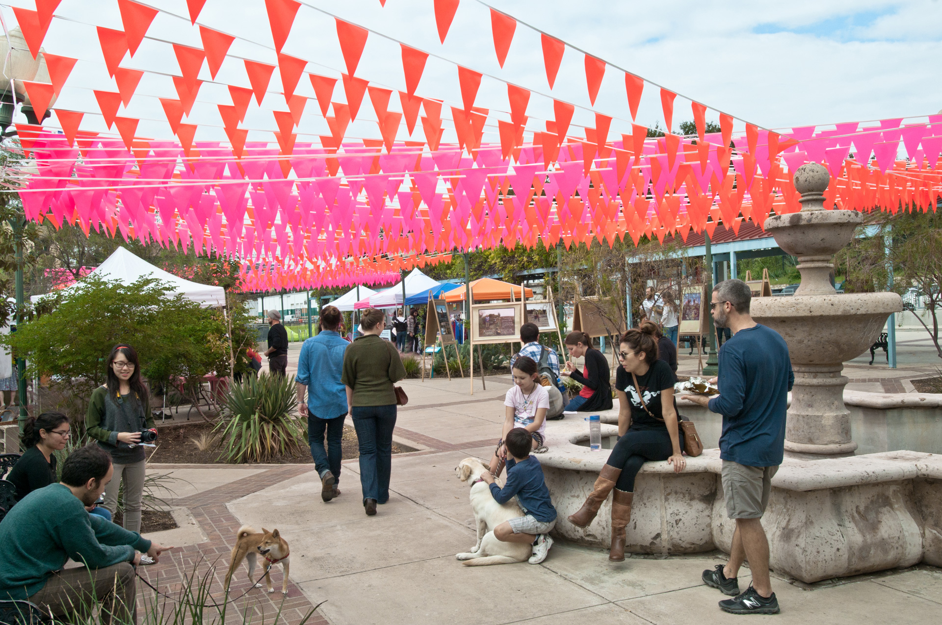 Festoon in Austin, TX