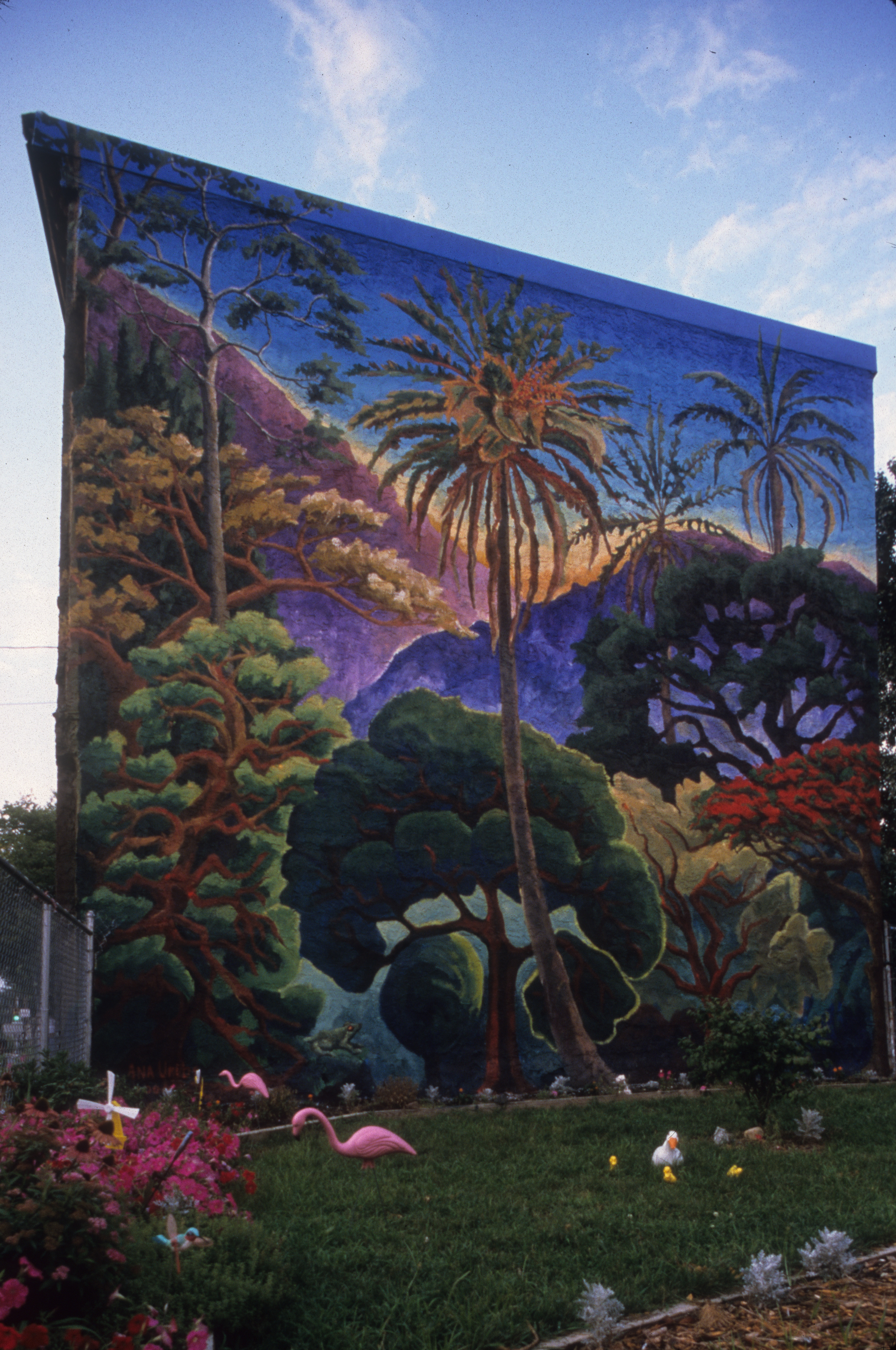 The Palm Tree in Philadelphia, PA