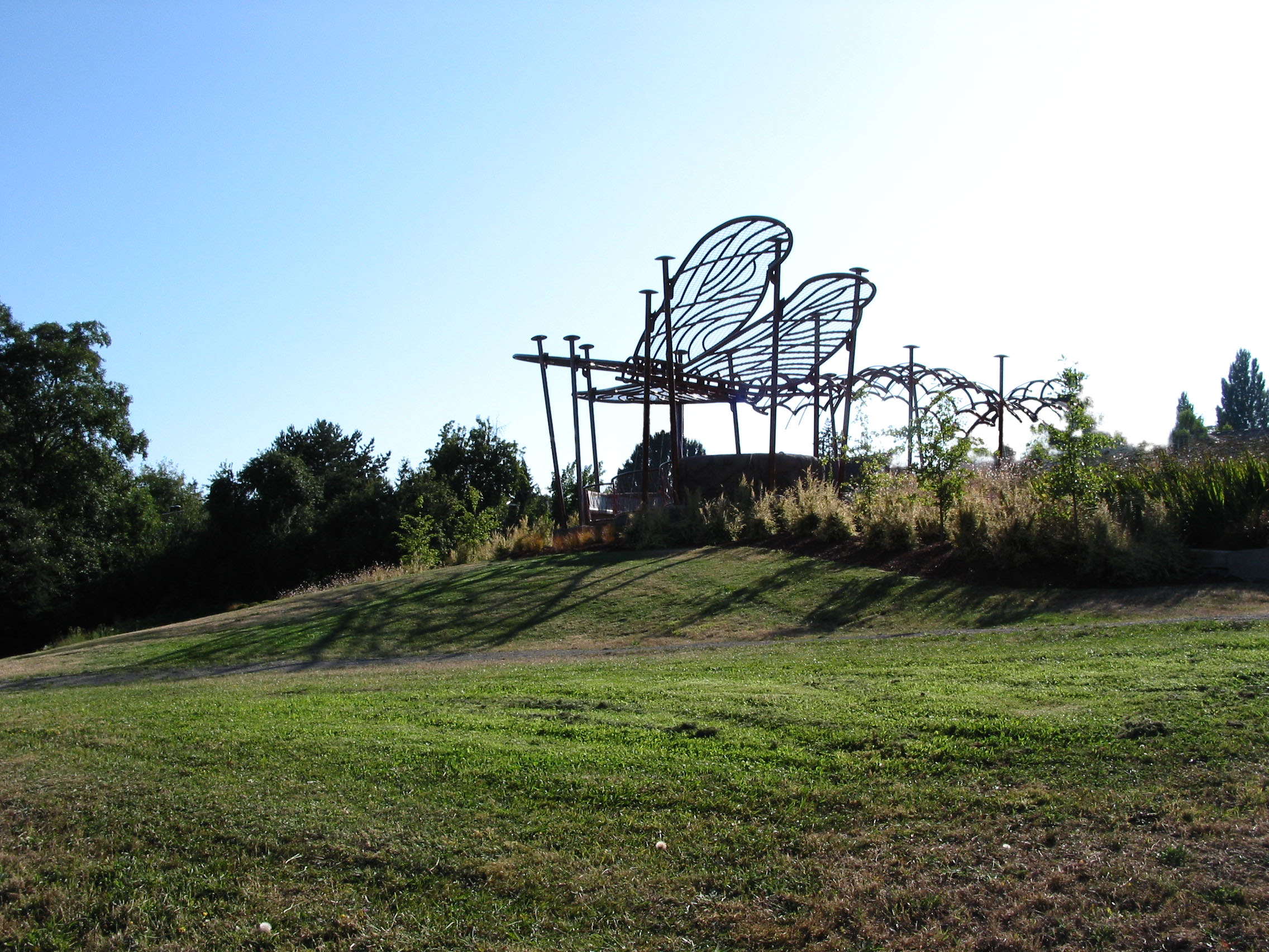 Dragonfly Garden in Seattle, WA