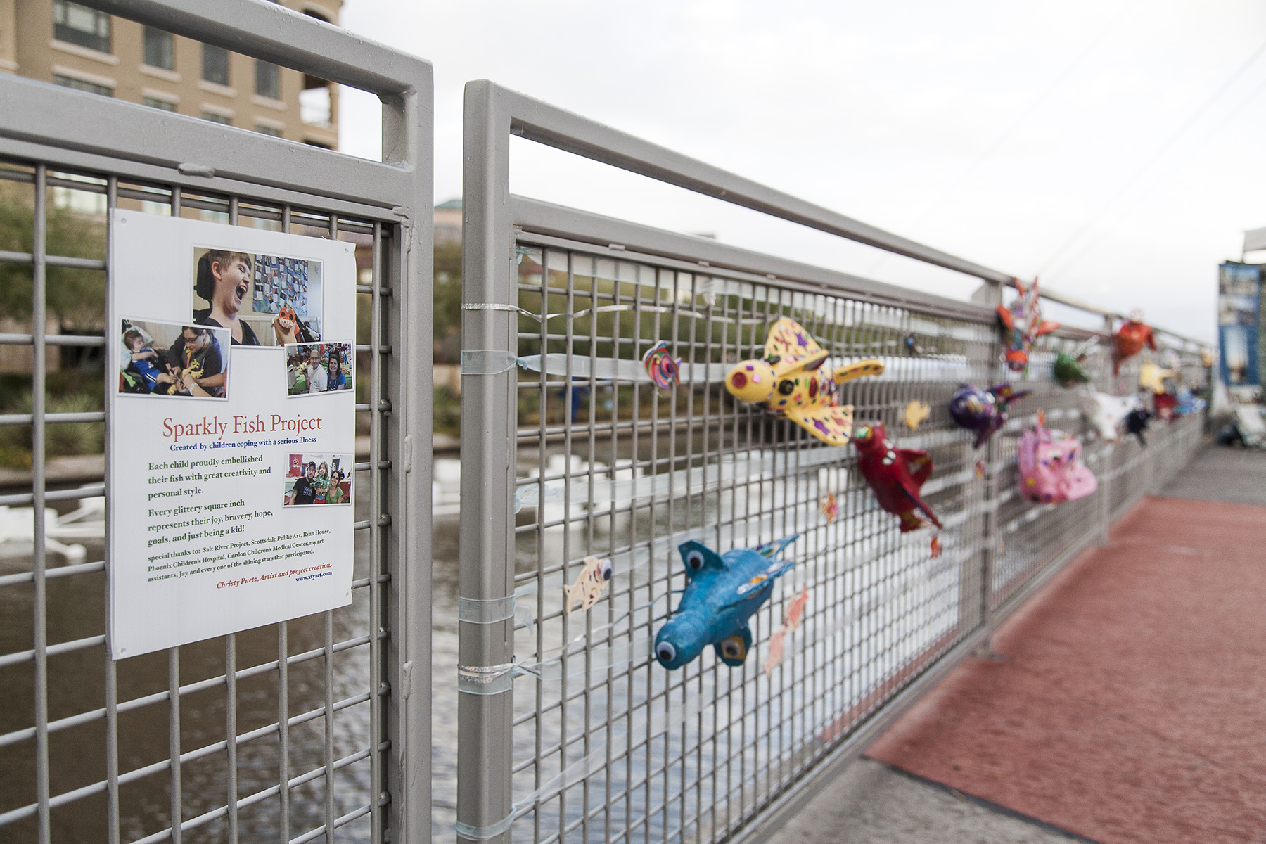 Sparkly Fish in Scottsdale, AZ