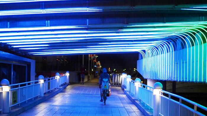 BioBridge in Tampa, FL