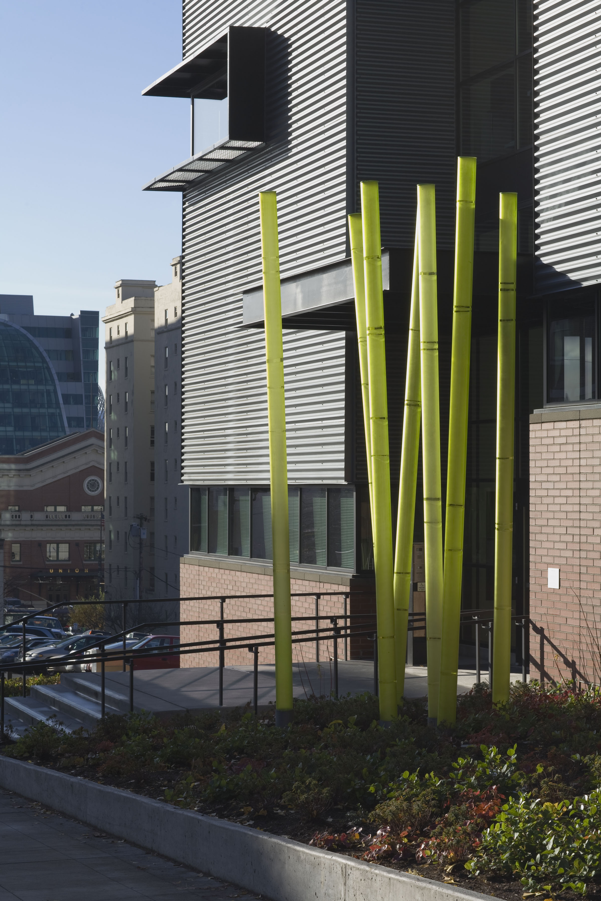 bamboo, luminous in Seattle, WA