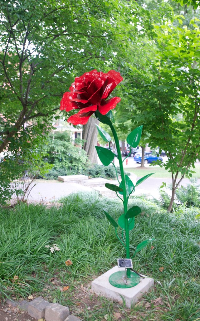 The Lancaster Rose in Lancaster, PA