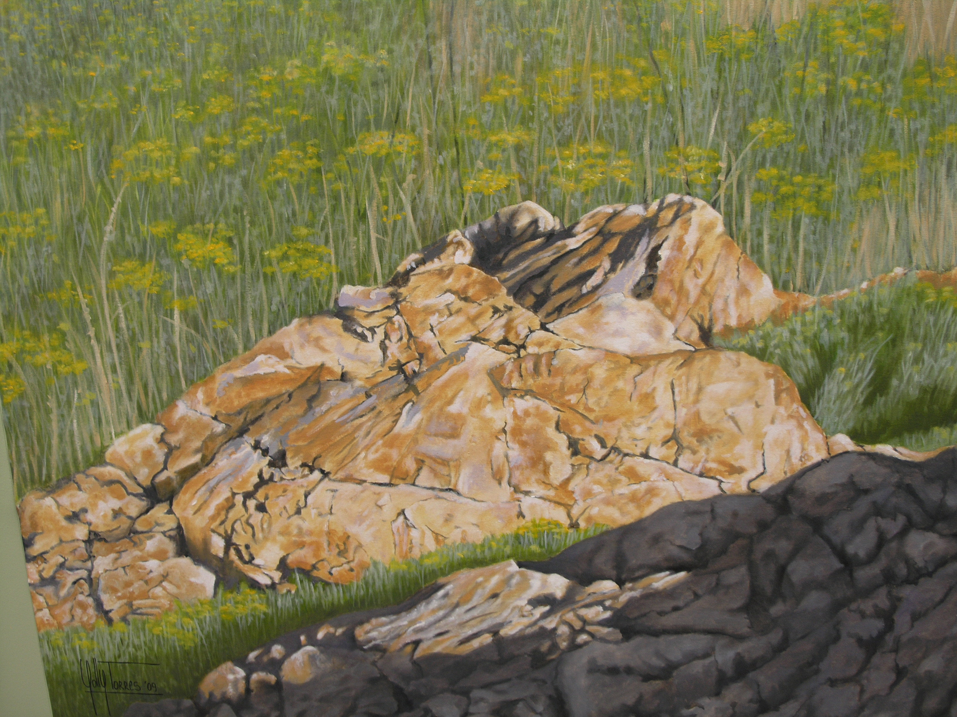 Timeless Harmony Antelope Island Great in Salt Lake City, UT