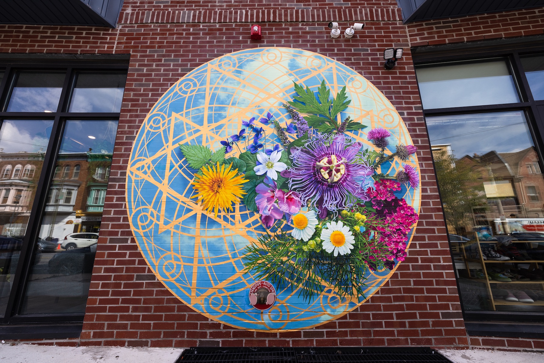 Eco Mural 15 ~ Wild Medicine: Mugwort, in Philadelphia, PA